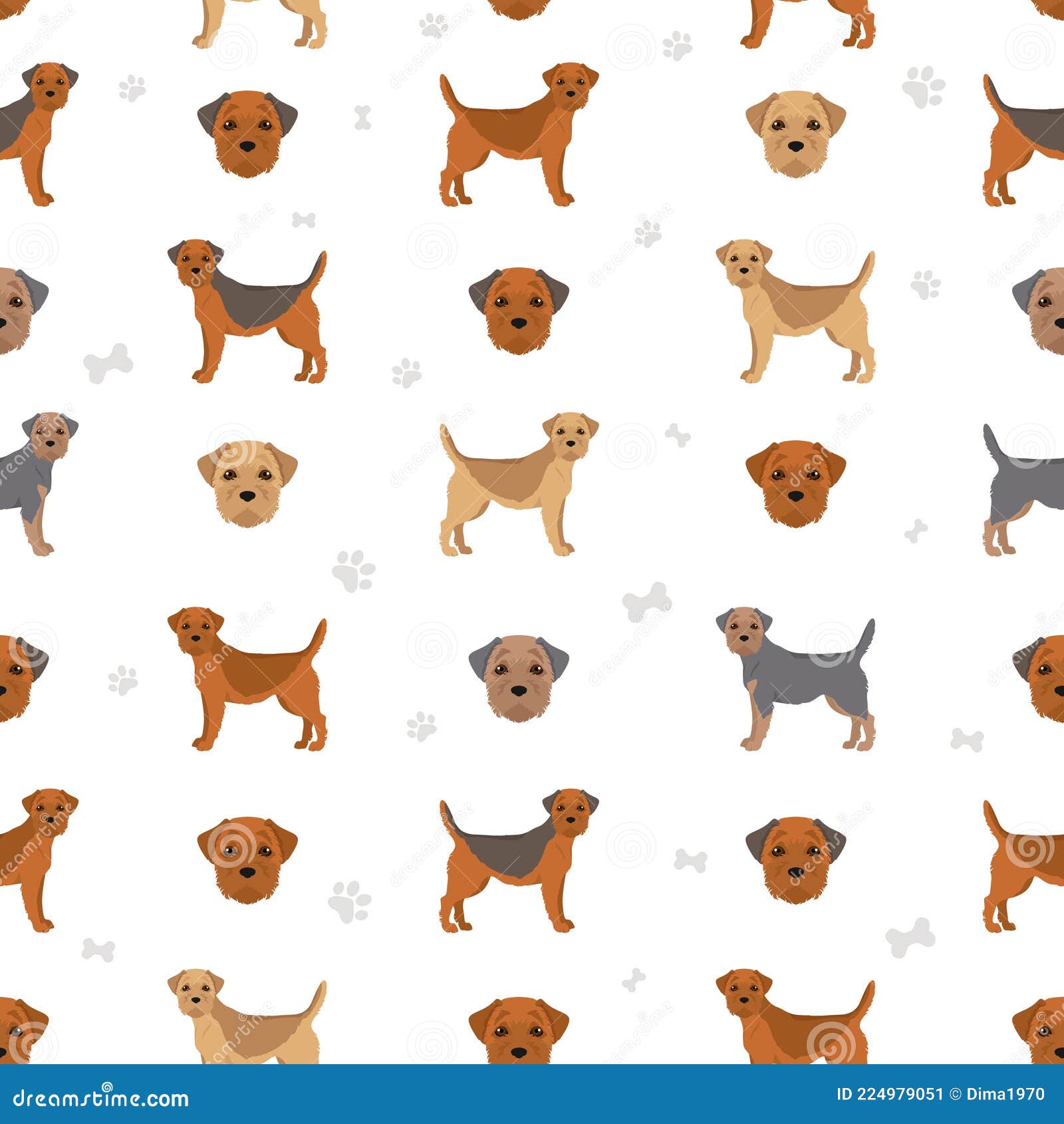 Border Terrier Seamless Pattern. Different Coat Colors and Poses Set ...