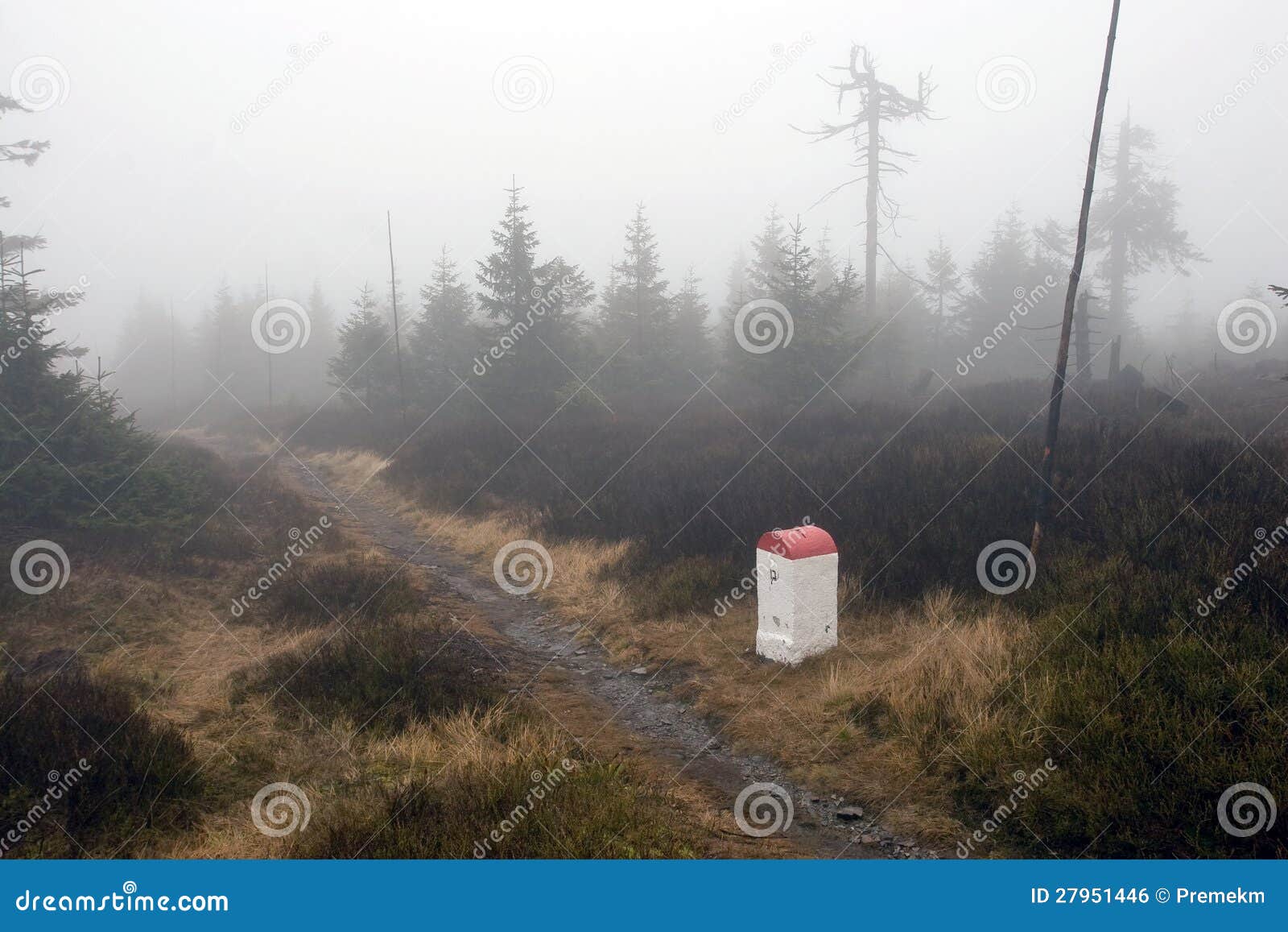 Borderline Bollard Along Footpath in Foggy Forest Stock Photo - Image ...