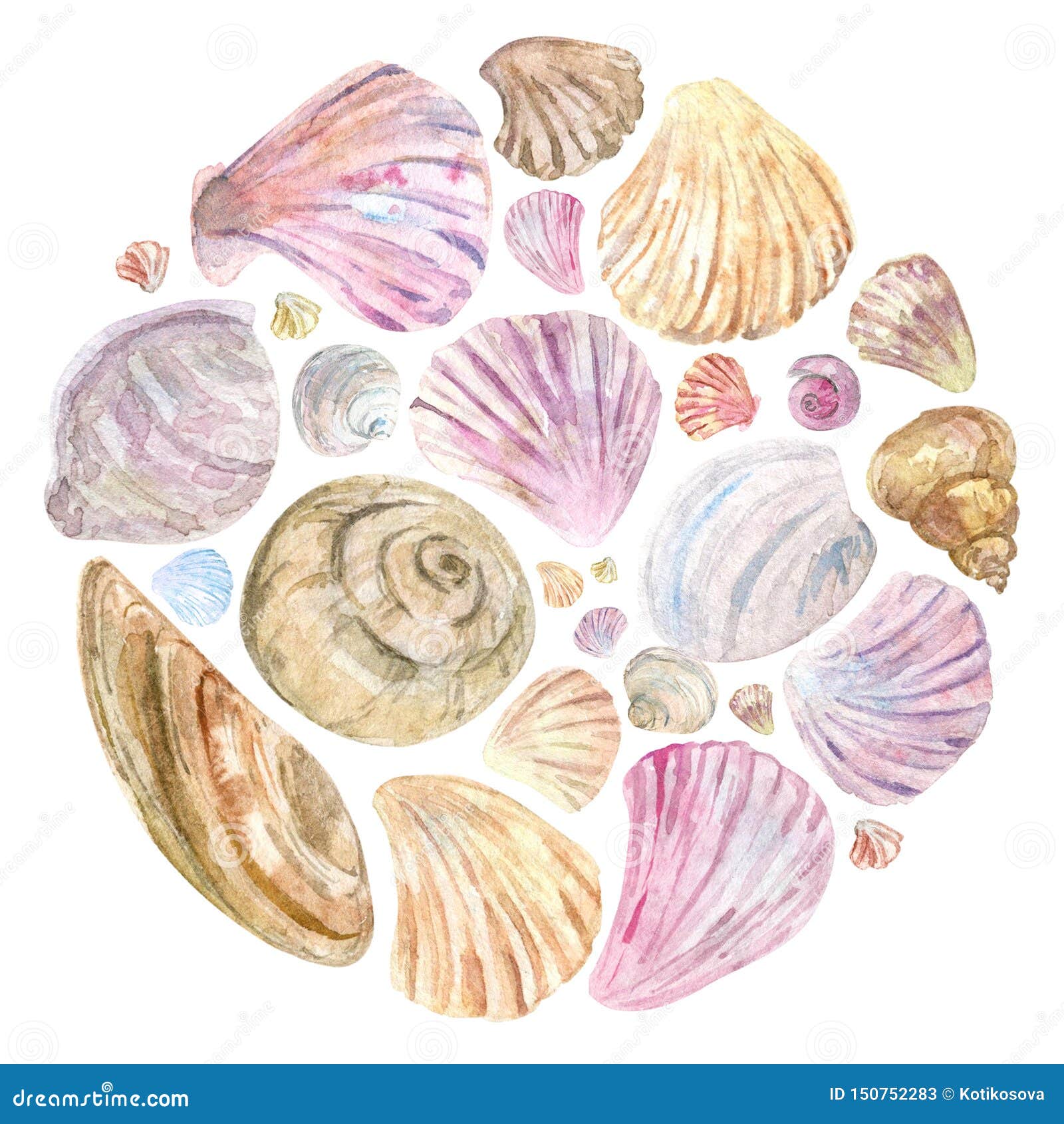 Colorful Watercolor Shells in Round Composition Stock Illustration ...
