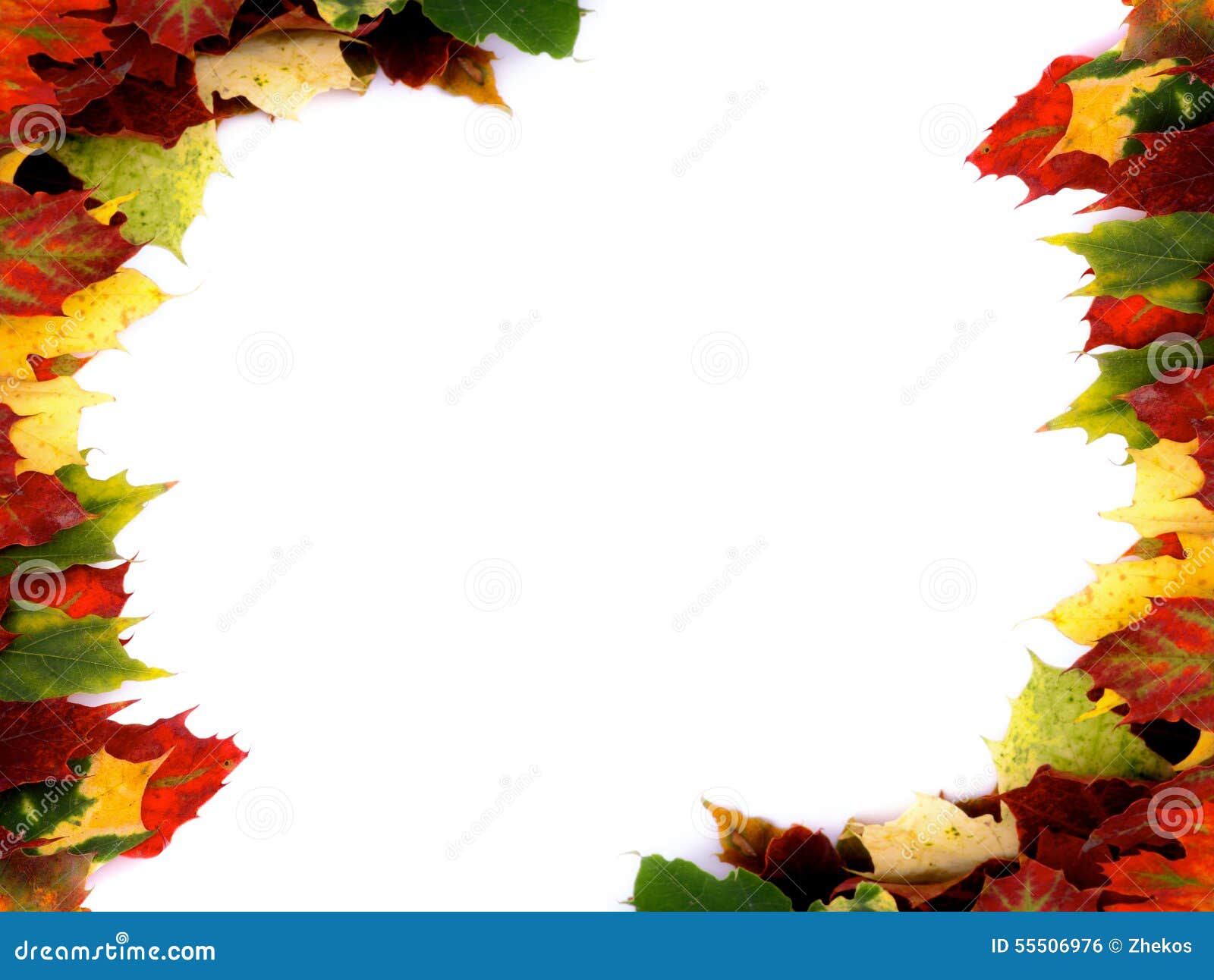 Borders Of Maple Leaf Royalty-Free Stock Image | CartoonDealer.com ...
