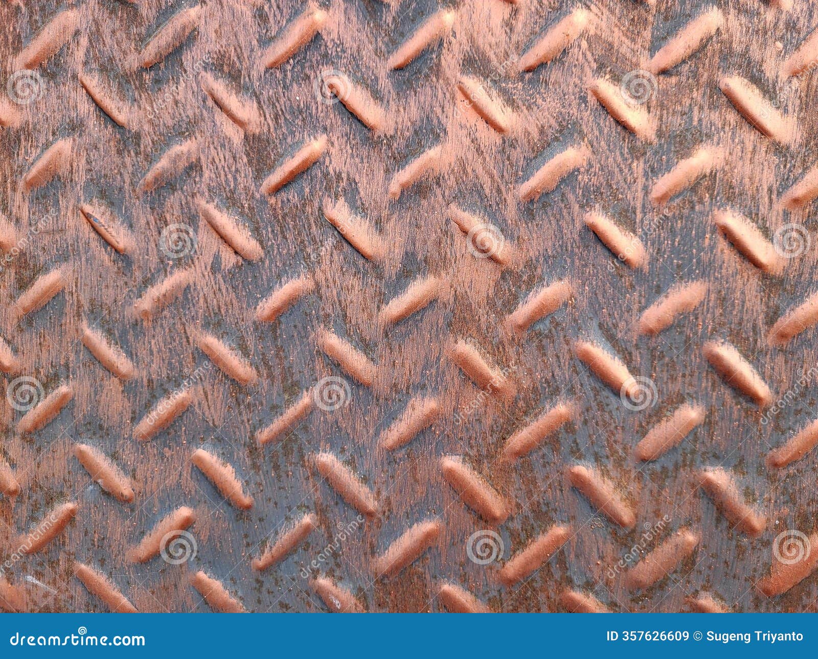 The Bordes Plate Has a Protruding Surface in the Form of a ...