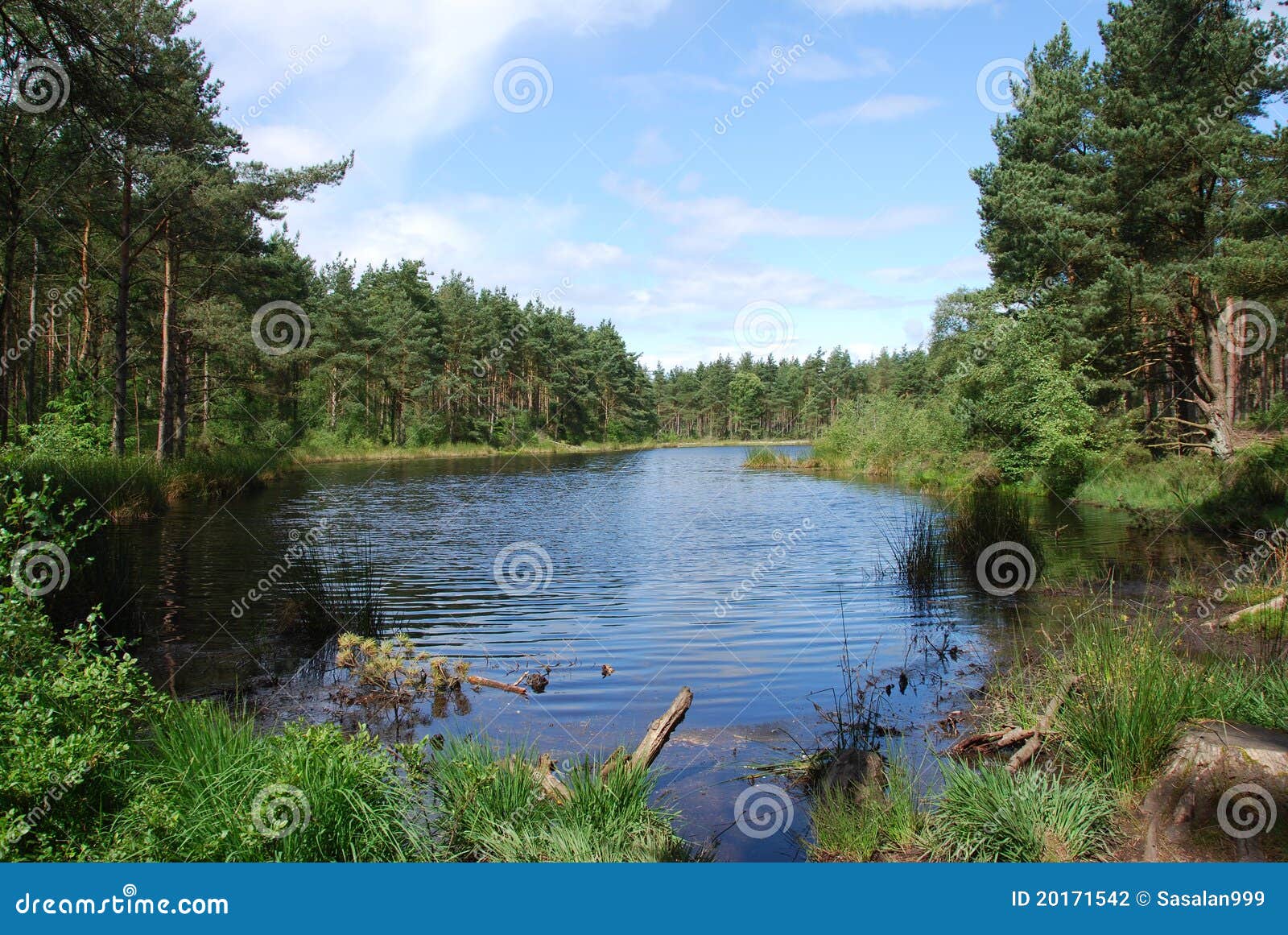 Bordie Loch stock photo. Image of pool, loch, ripple - 20171542