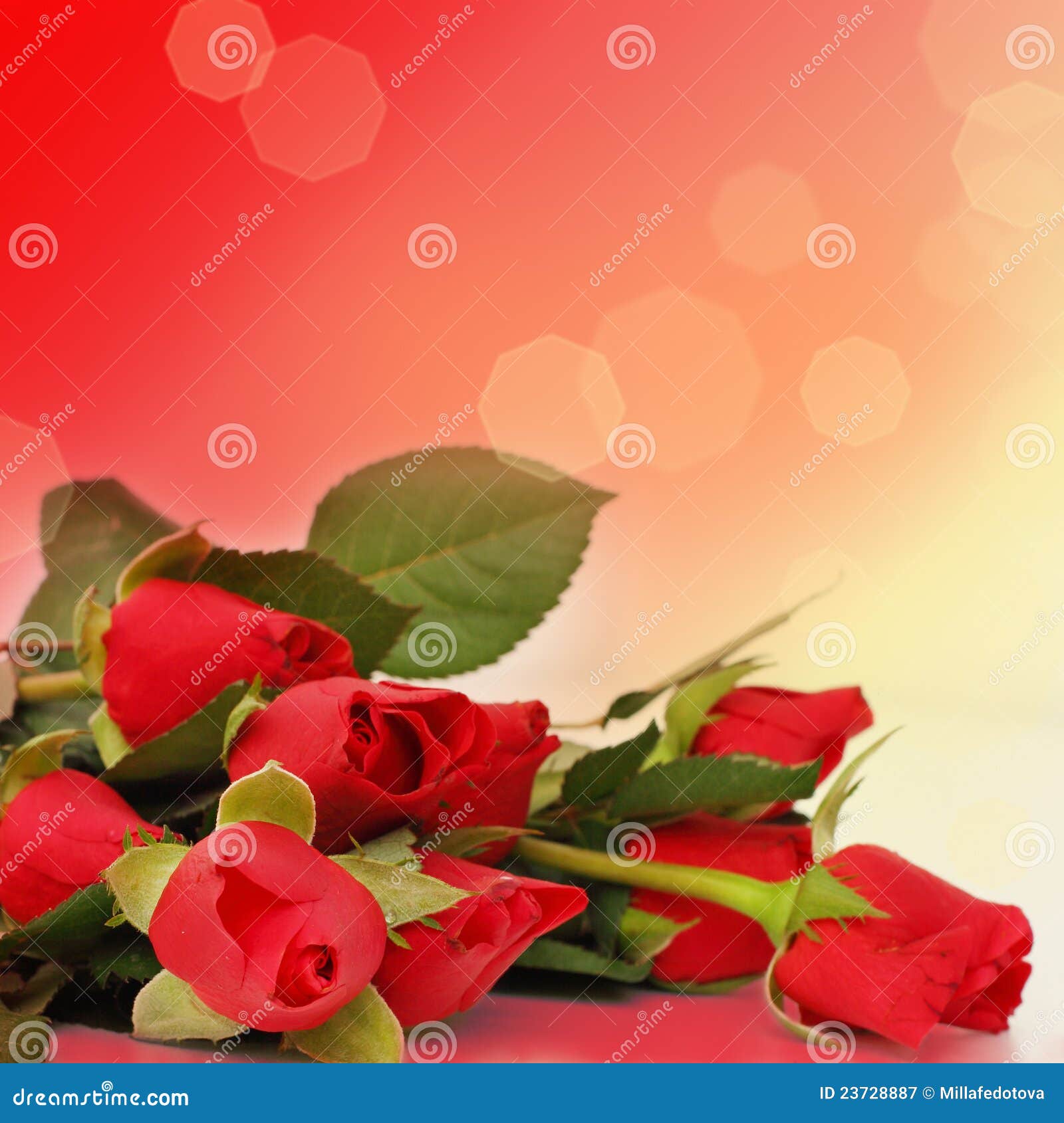 Bordo Floreale Con Le Rose Rosse Immagine Stock - Immagine di colorato ...