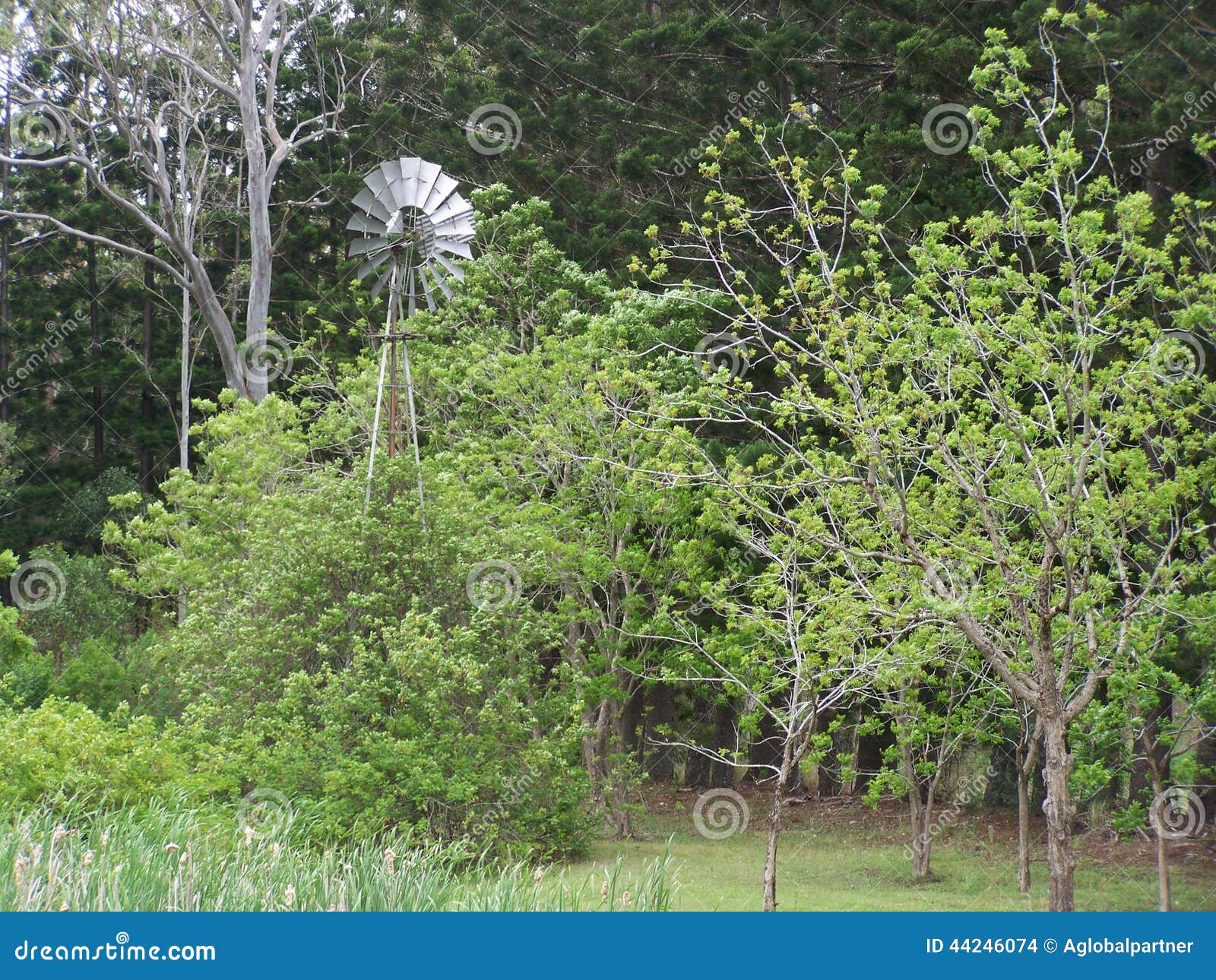 Bore pump windmill stock photo. Image of wind, landscape - 44246074