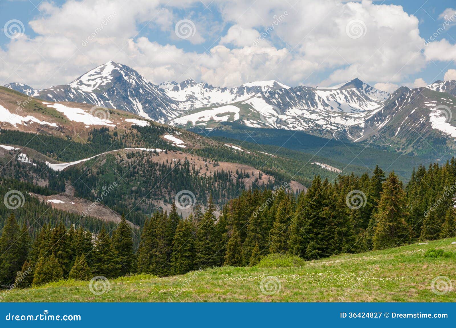 Boreas Pass Colorado stock image. Image of vista, pine - 36424827