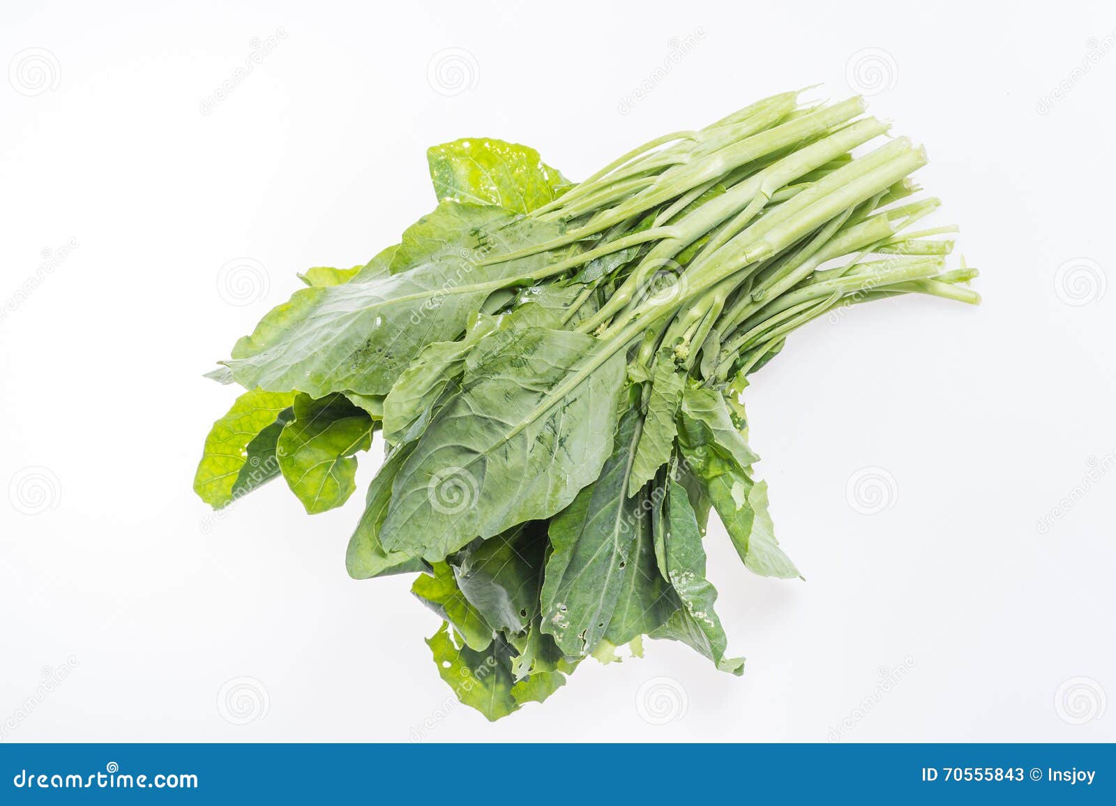 Borecole(Chinese kale) stock image. Image of food, assortment - 70555843