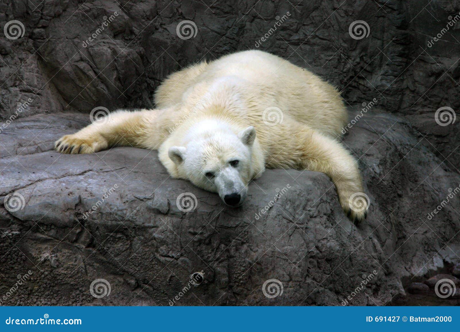 Bored Royalty Free Stock Photography - Image: 691427