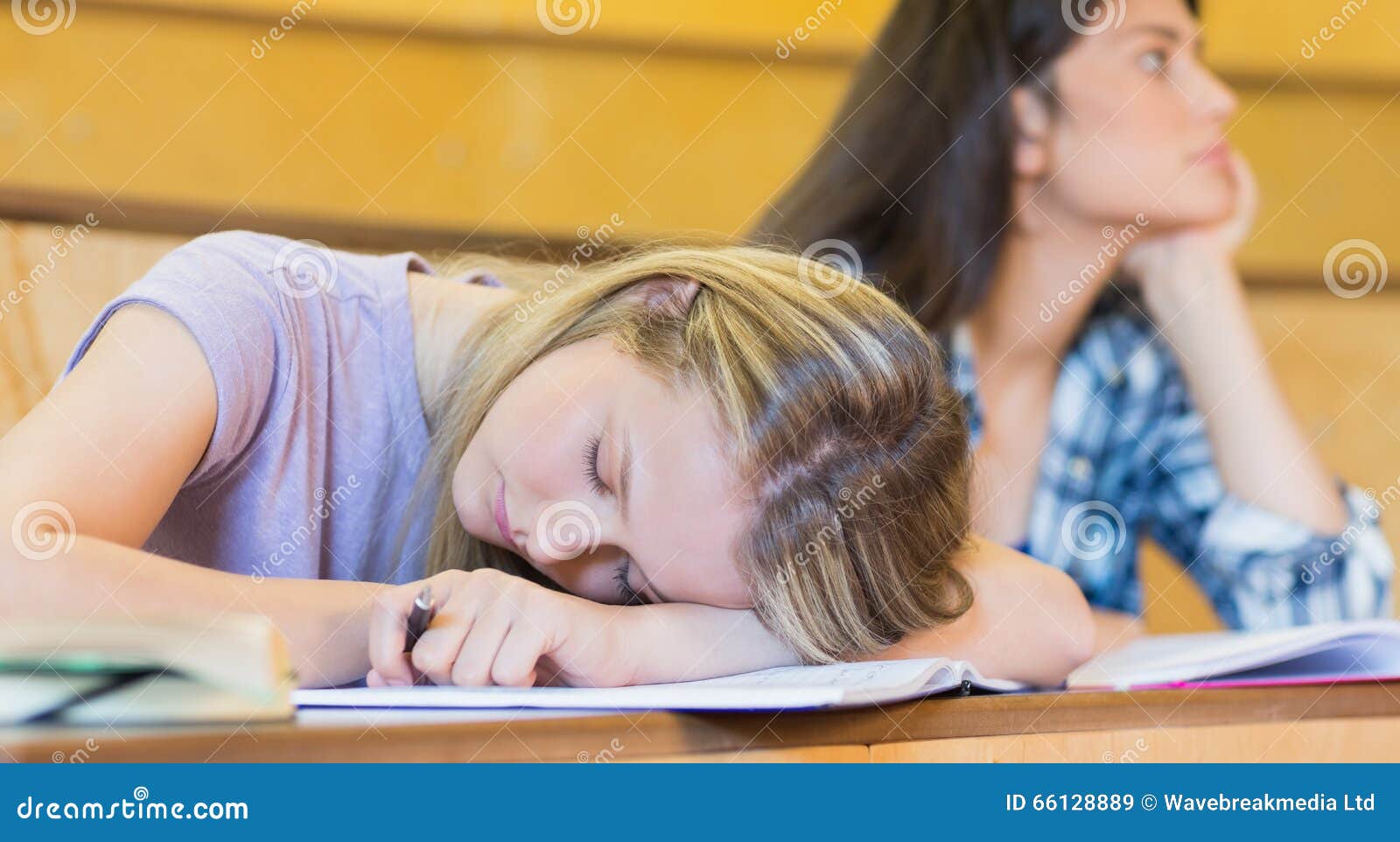 Bored Student Listening while Classmate Sleeping Stock Image - Image of ...