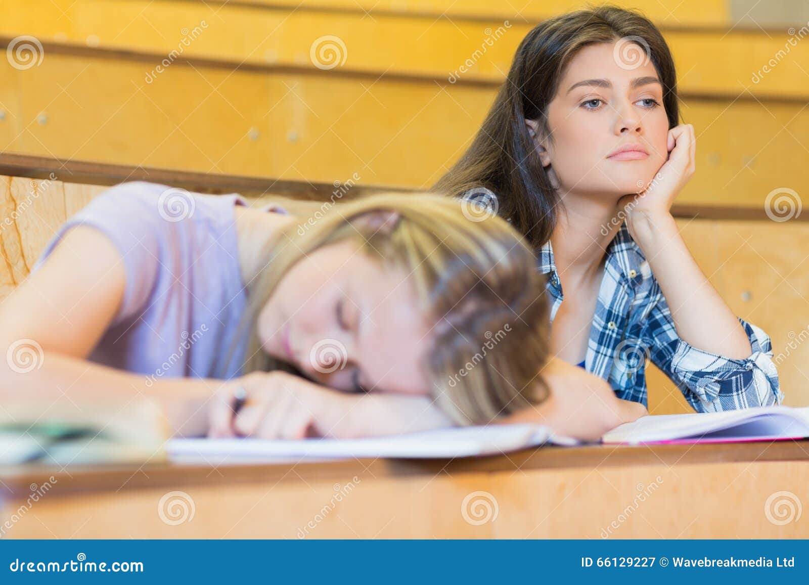 Bored Student Listening while Classmate Sleeping Stock Image - Image of ...