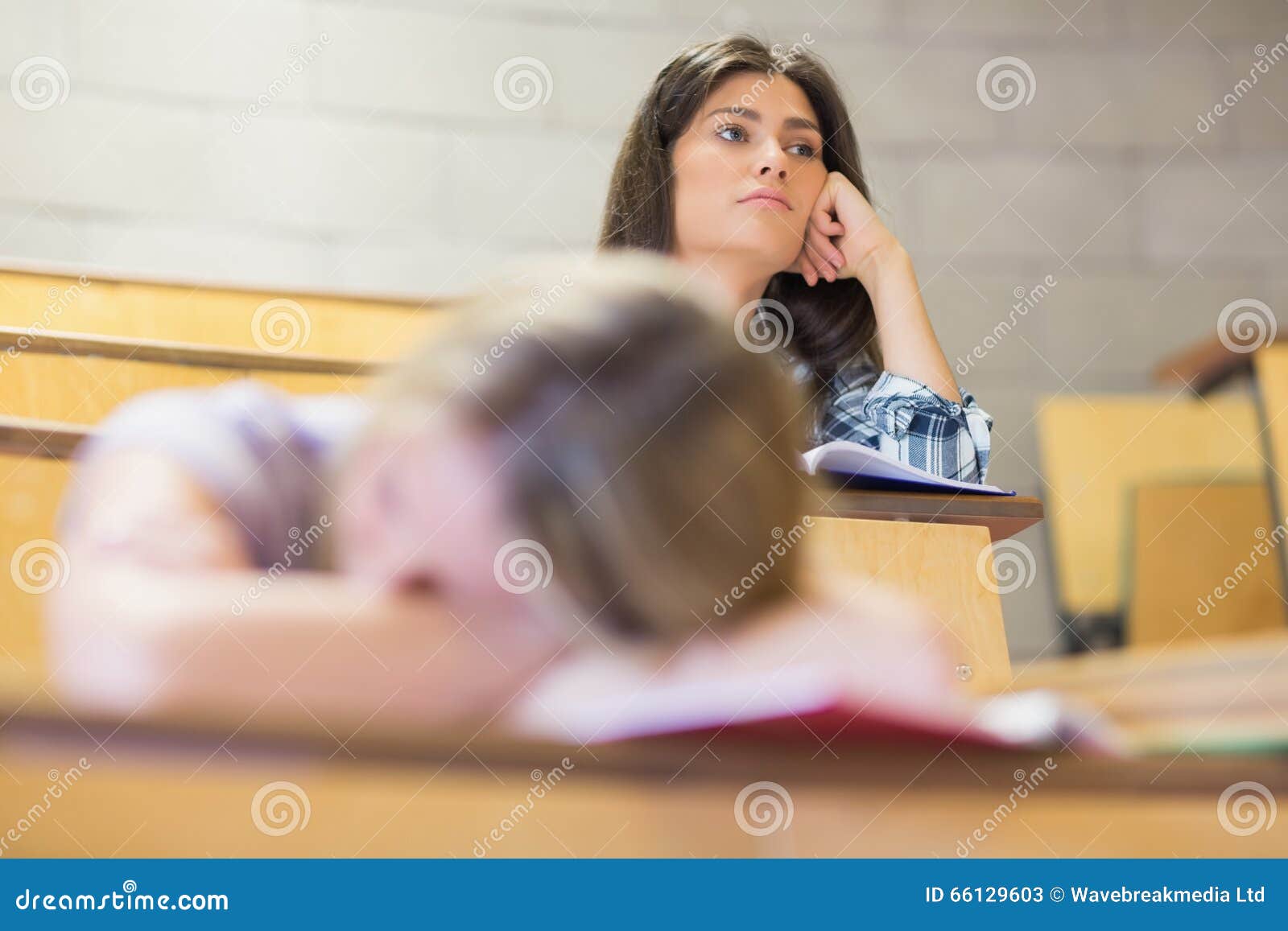 Bored Student Listening while Classmate Sleeping Stock Image - Image of ...