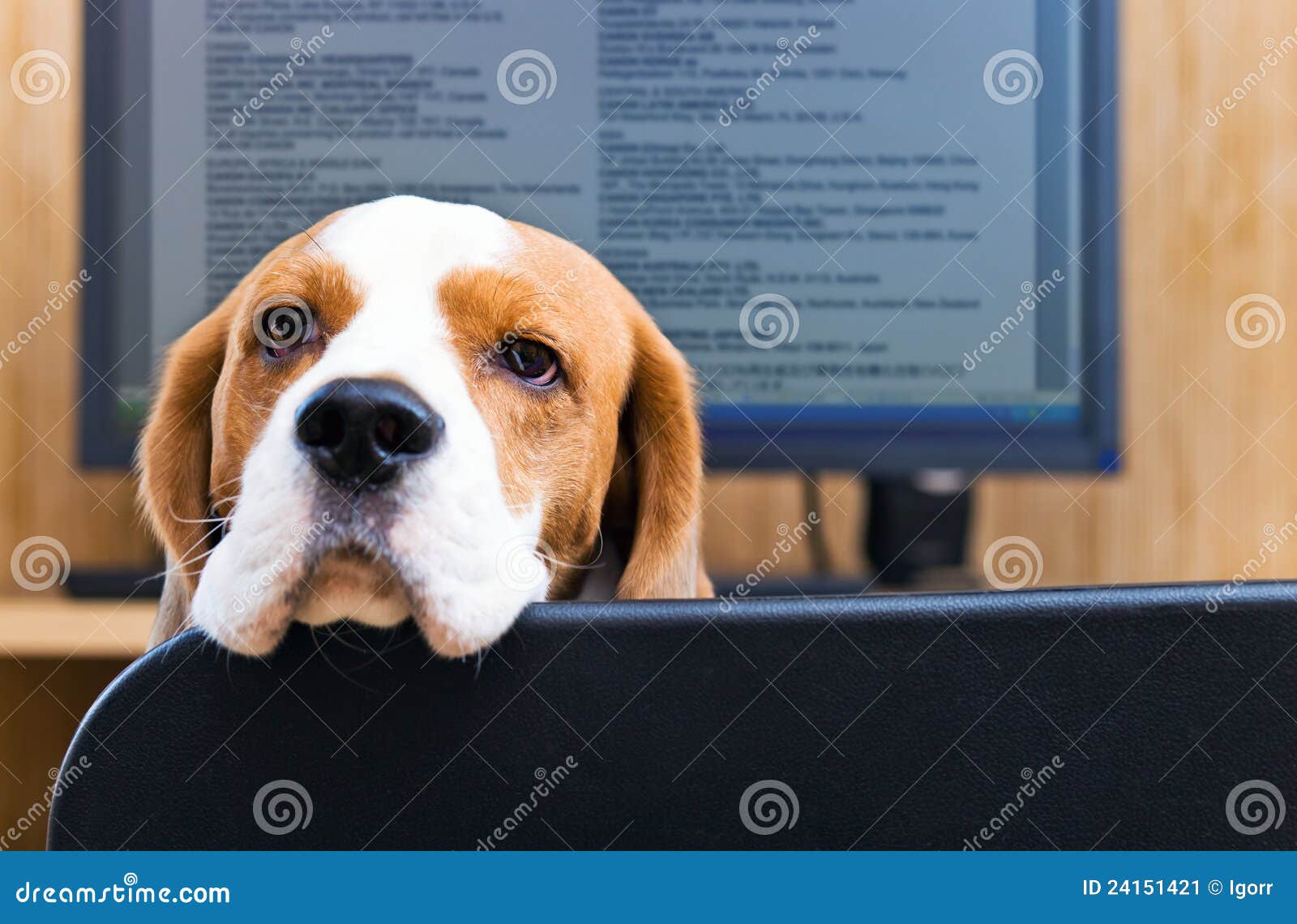 Boredom stock image. Image of desktop, computer, domestic - 24151421