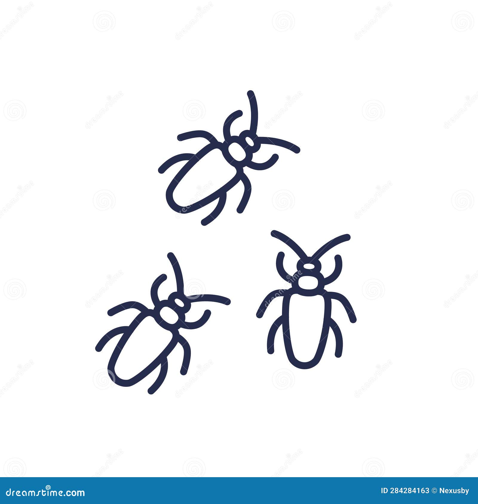 Borer Bugs, Woodboring Beetles, Line Vector Stock Vector - Illustration ...