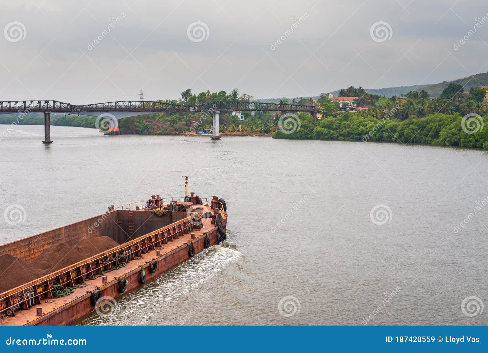 Borim,Goa/India- May 1 2020: Barges Carrying Mining Ore for Export at ...
