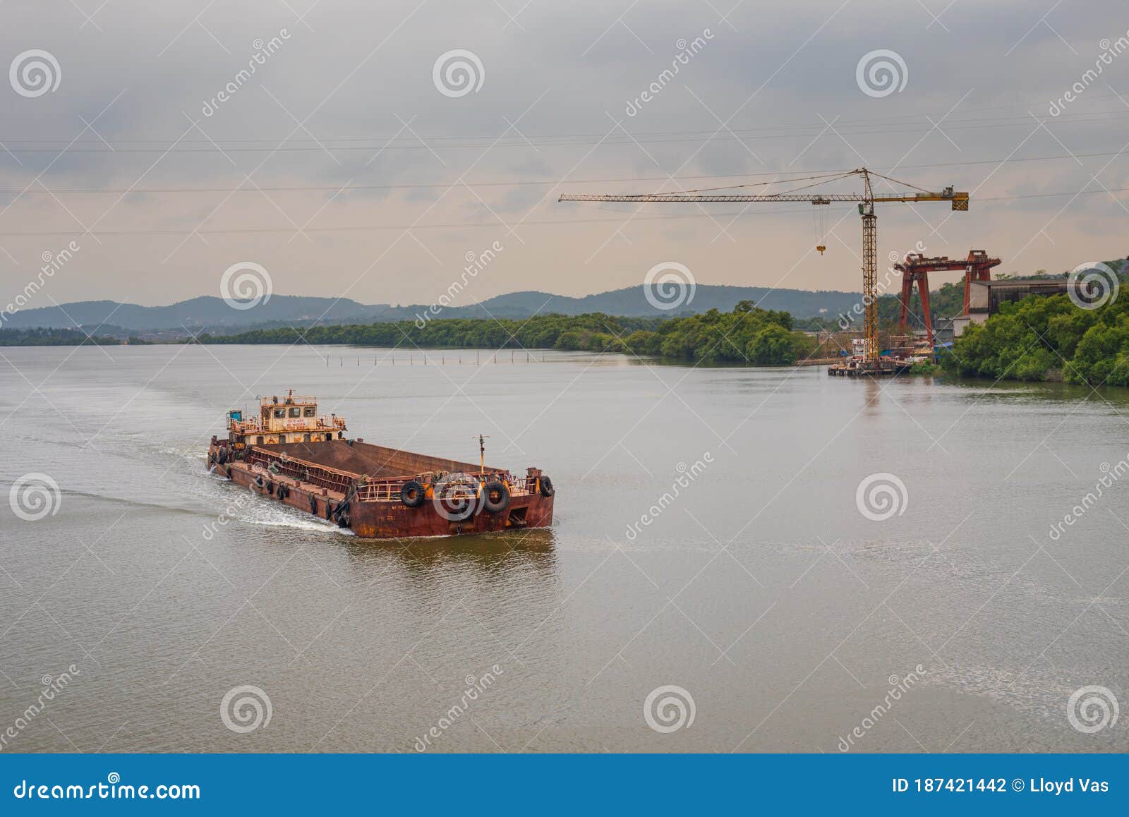 Borim,Goa/India- May 1 2020: Barges Carrying Mining Ore for Export at ...
