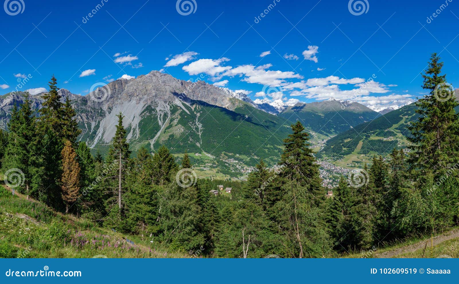 Bormio Village and Alps Mountains Huge Panorama Stock Image - Image of ...