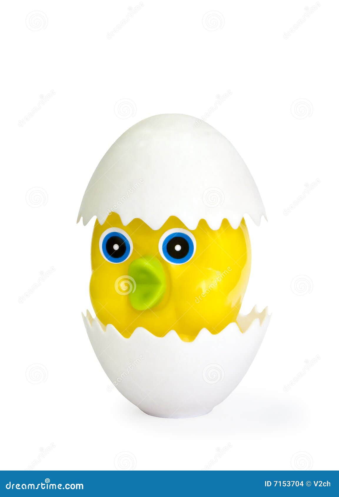 The born chicken stock photo. Image of newborn, offspring - 7153704