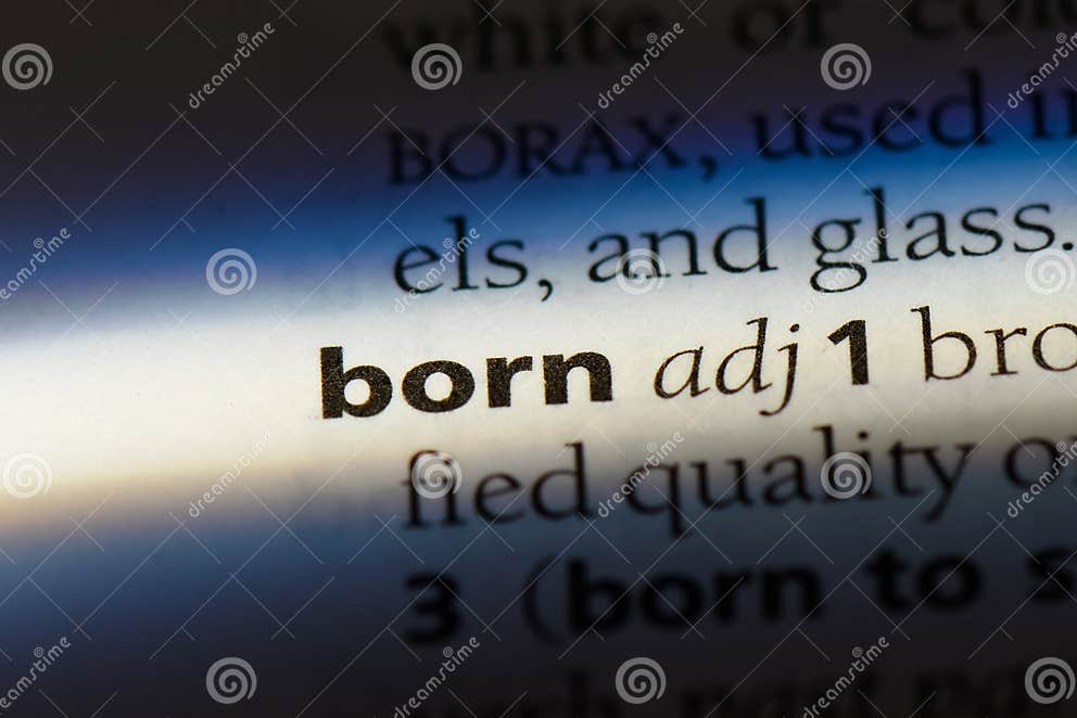 Born stock photo. Image of printed, word, macro, dictionary - 114405268
