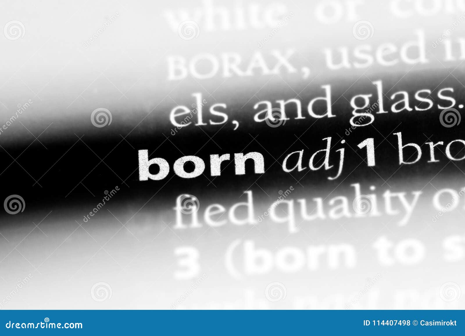 Born stock photo. Image of text, definition, isolated - 114407498