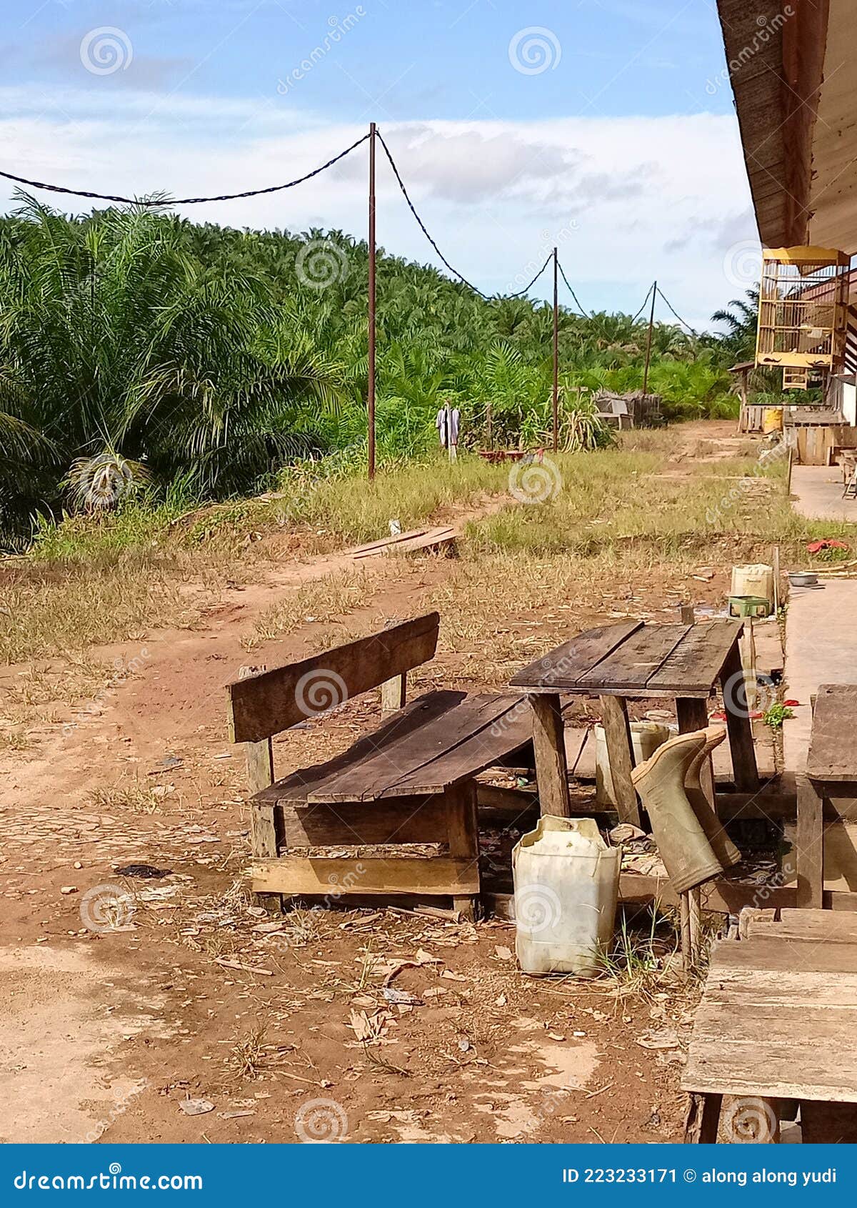 Borneo camp activiti editorial photo. Image of wood - 223233171