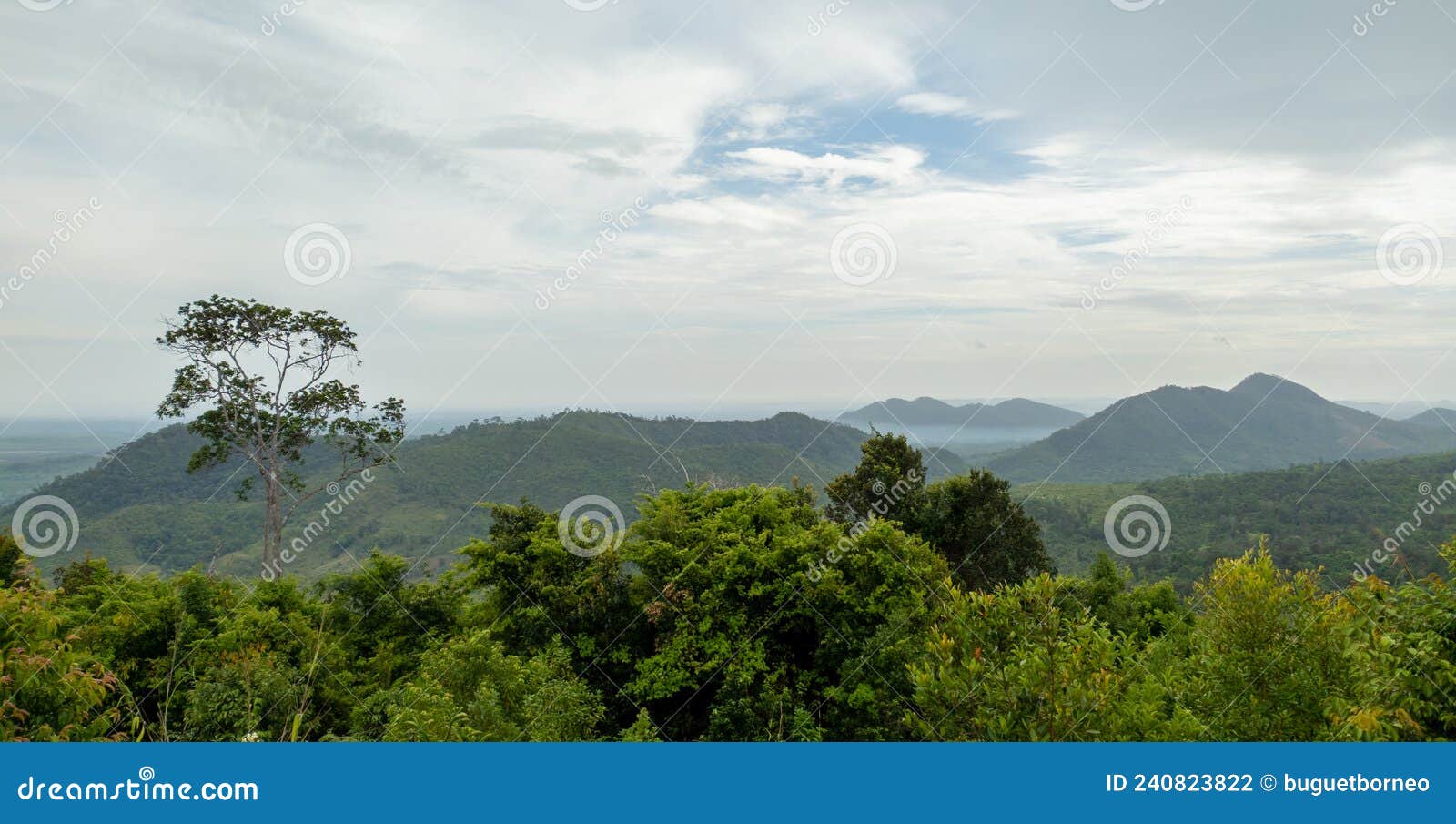 Borneo Forest in the Meratus Mountains Stock Photo - Image of cloud ...