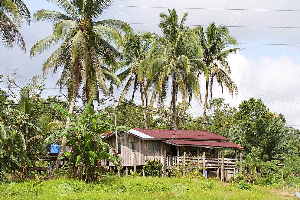 Borneo house stock image. Image of sabah, sumatra, houses - 24326977