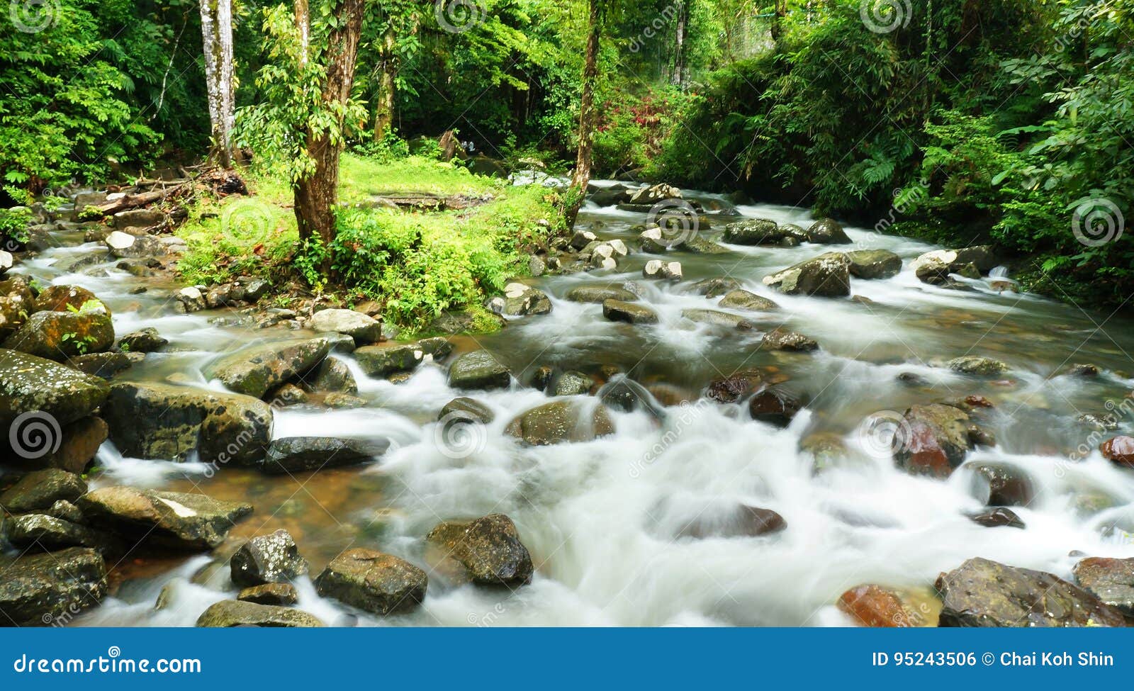 Borneo Rain Forest Stream Fall Stock Photo - Image of water, forest ...