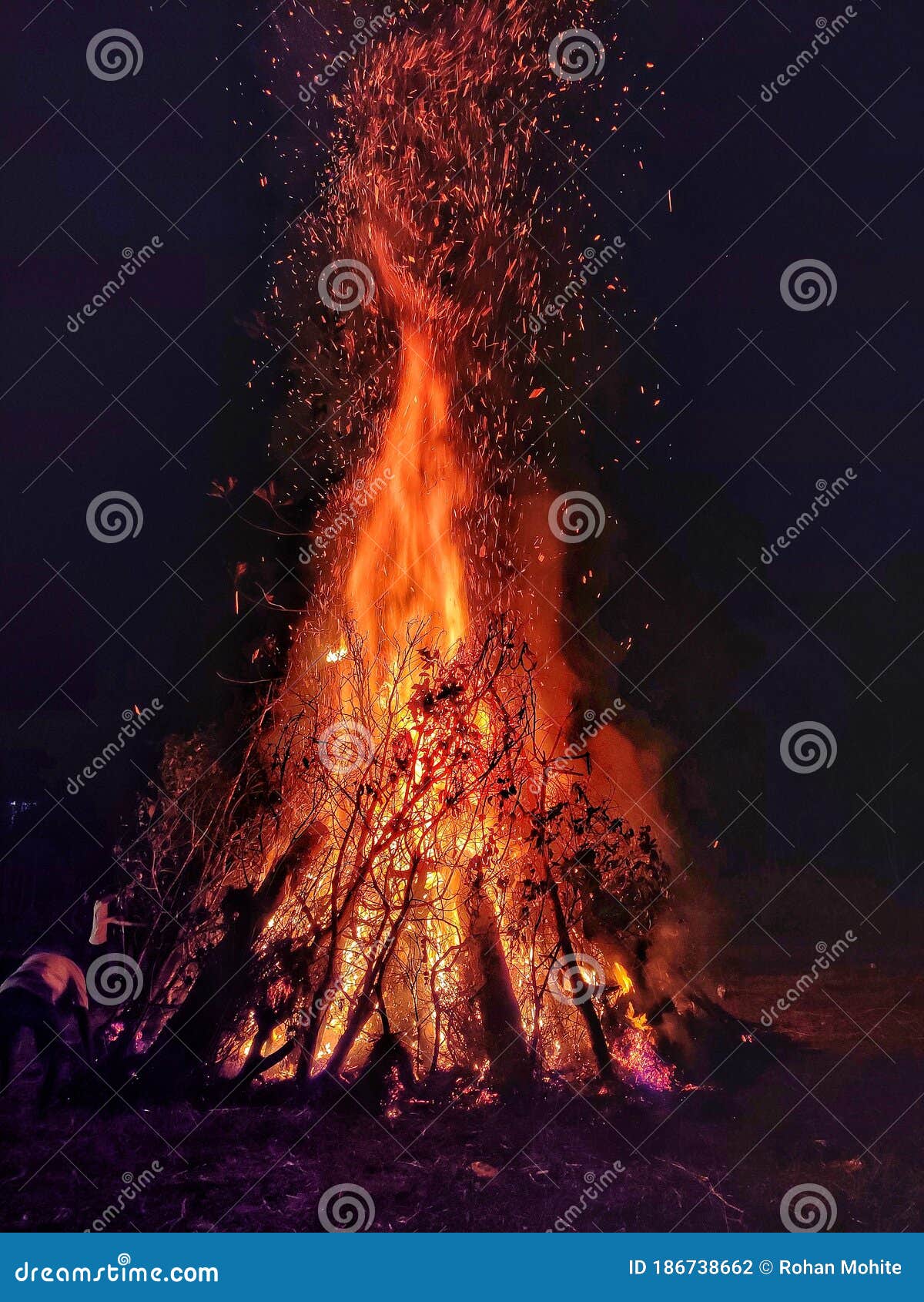 Bornfire in india stock photo. Image of quail, bornfire - 186738662