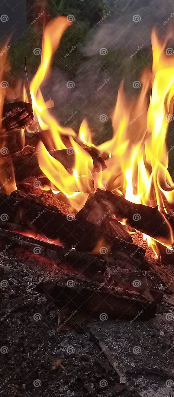 Bornfire stock photo. Image of sparks, small, burn, bornfire - 288774492