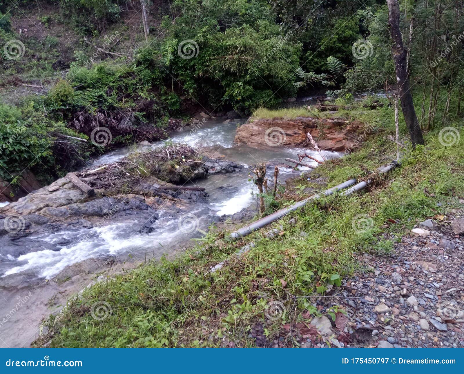 Boro-Boro s River and Tree stock image. Image of tree - 175450797