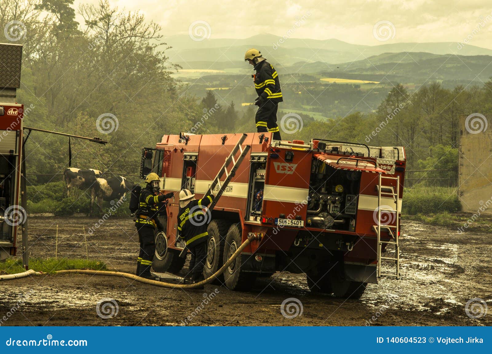 Borova, Czechia - 11th May 2014Firefighters Saving Cattle from a Barn ...