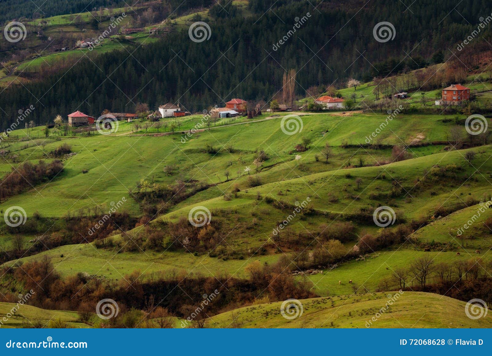 Borovitsa Village, Eastern Rhodopes, Bulgaria Stock Photo - Image of ...
