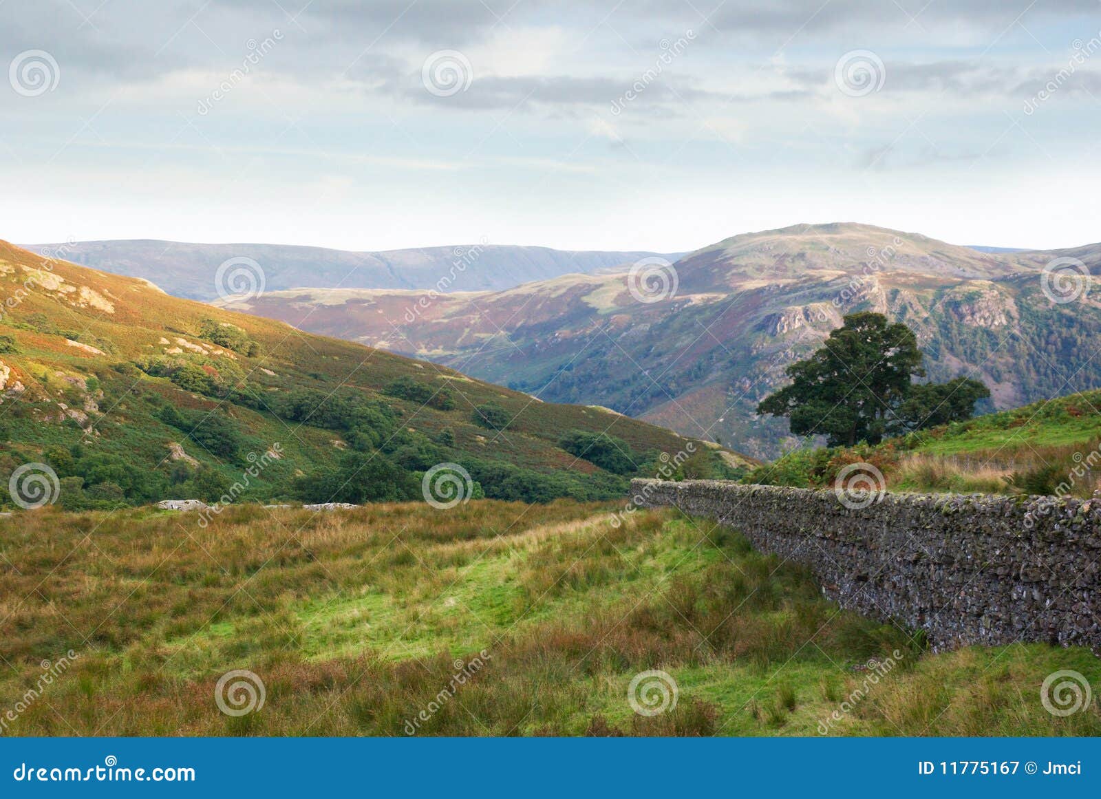 Borrowdale, Cumbria, England Stock Image - Image of sunshine ...
