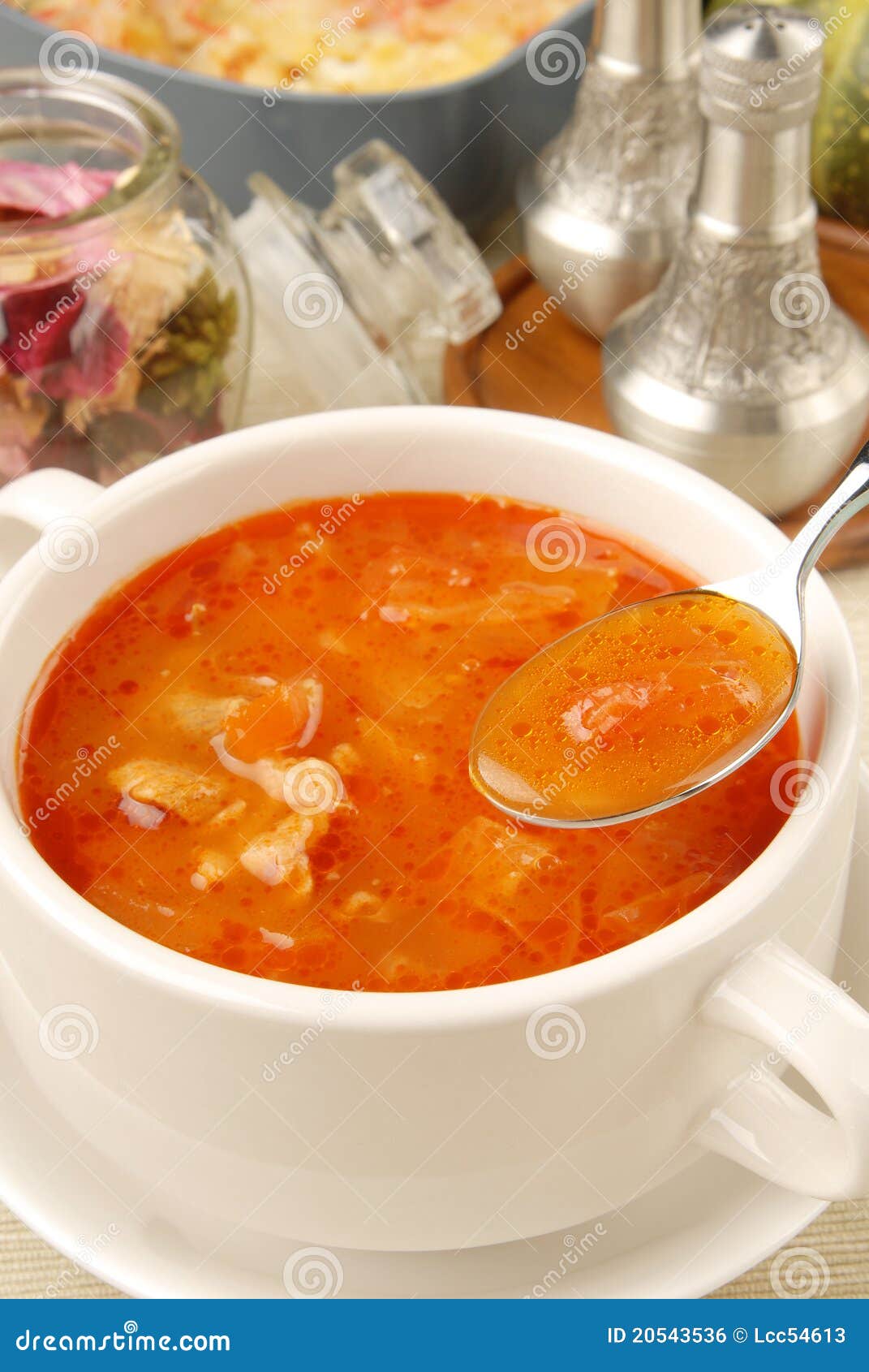 Borsch stock photo. Image of healthy, copious, borscht - 20543536