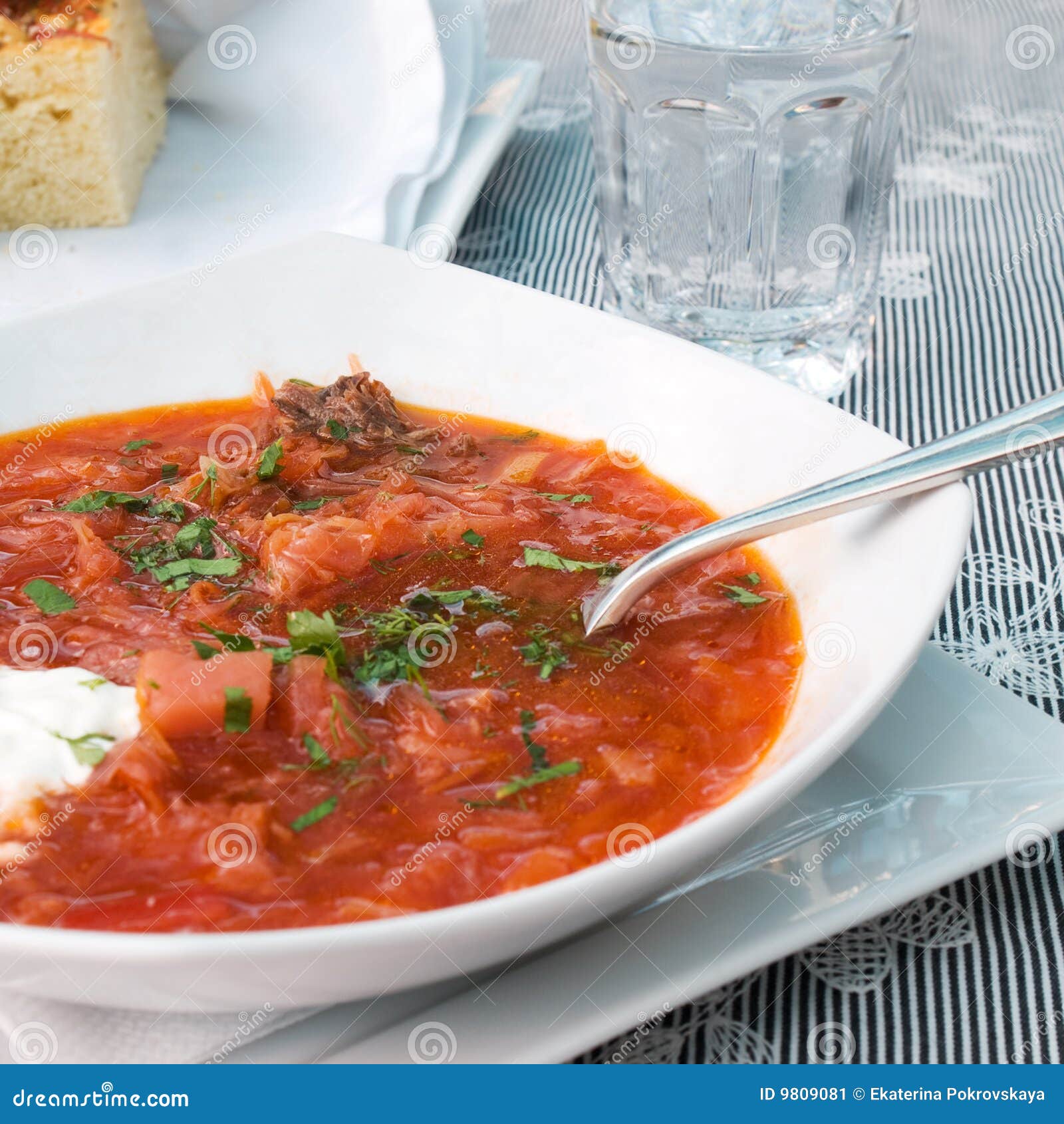 Borsch stock image. Image of restaurant, russian, heat - 9809081