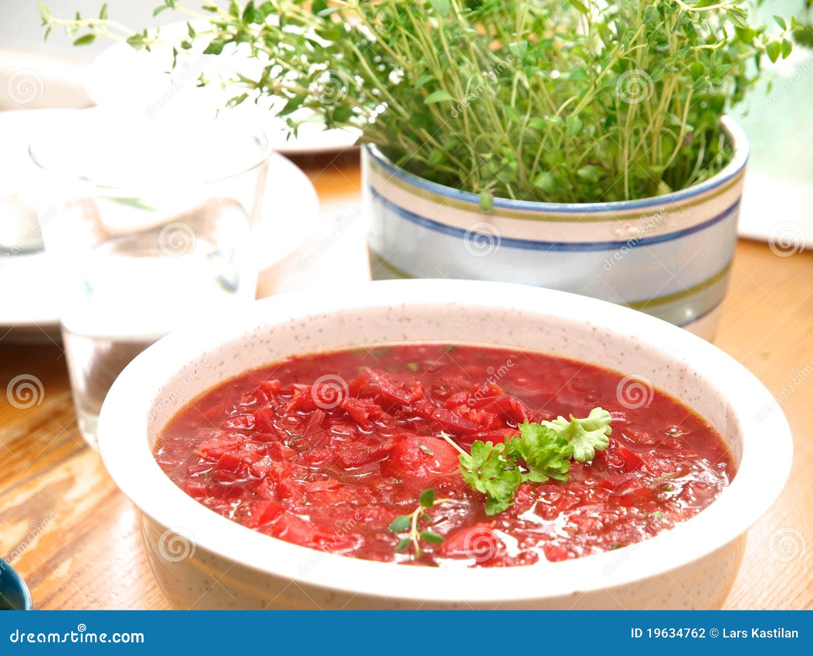Borscht stock photo. Image of europe, soup, beetroot - 19634762