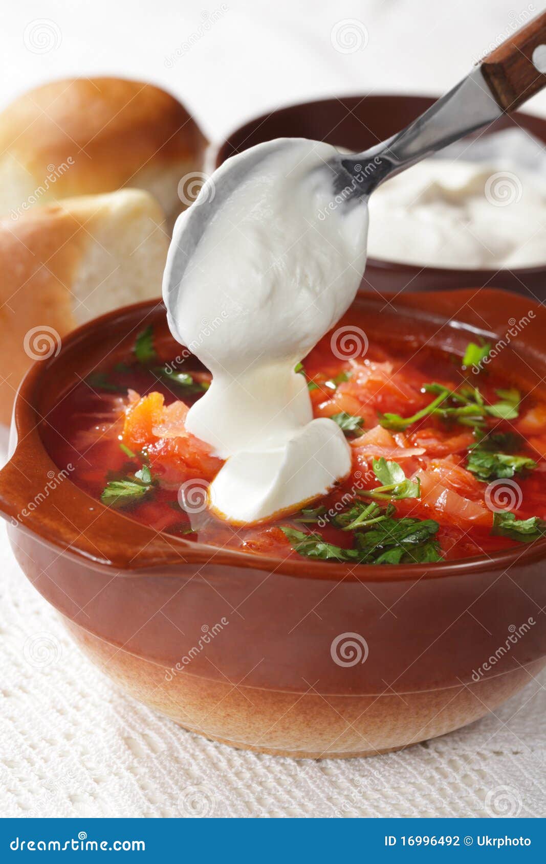 Borscht closeup stock photo. Image of ukrainian, portion - 16996492