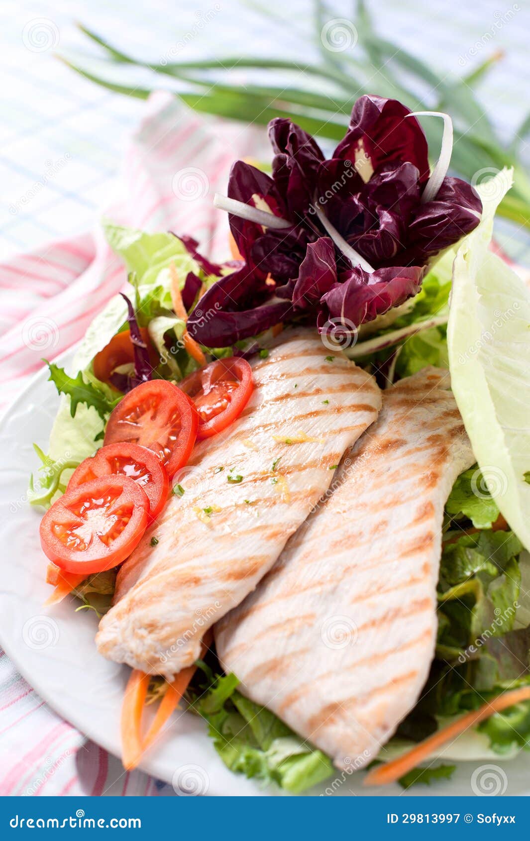 Borst Van Kip Met Verse Salade Stock Afbeelding - Image of eten, gezond ...