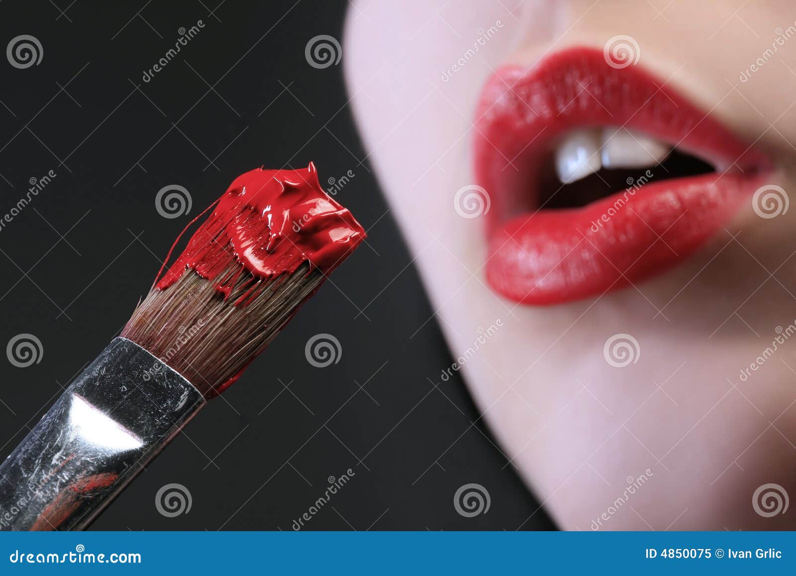 Borsta Bild. Bild: 4850075