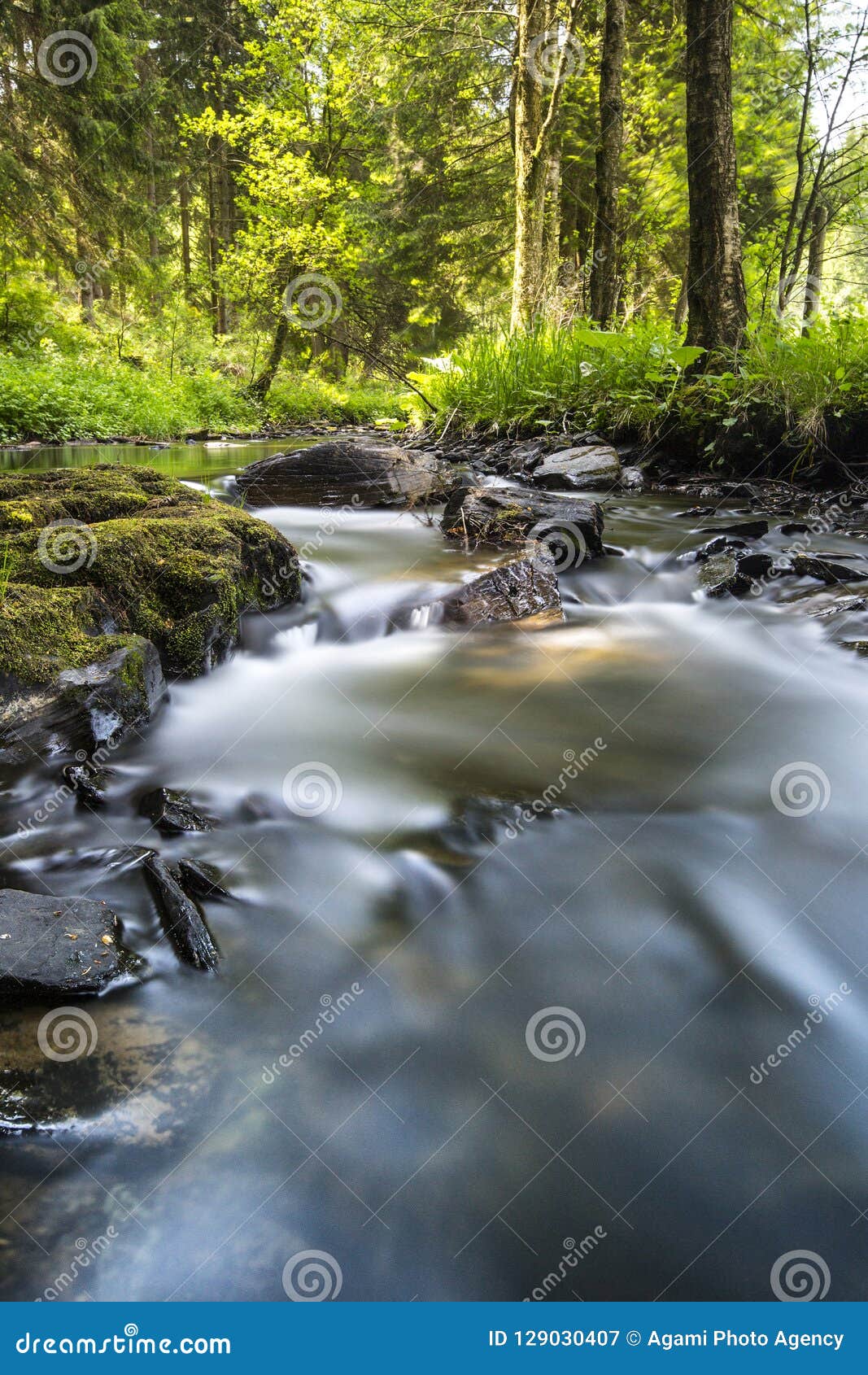 Bos beek, Forest brook stock image. Image of wald, germany - 129030407