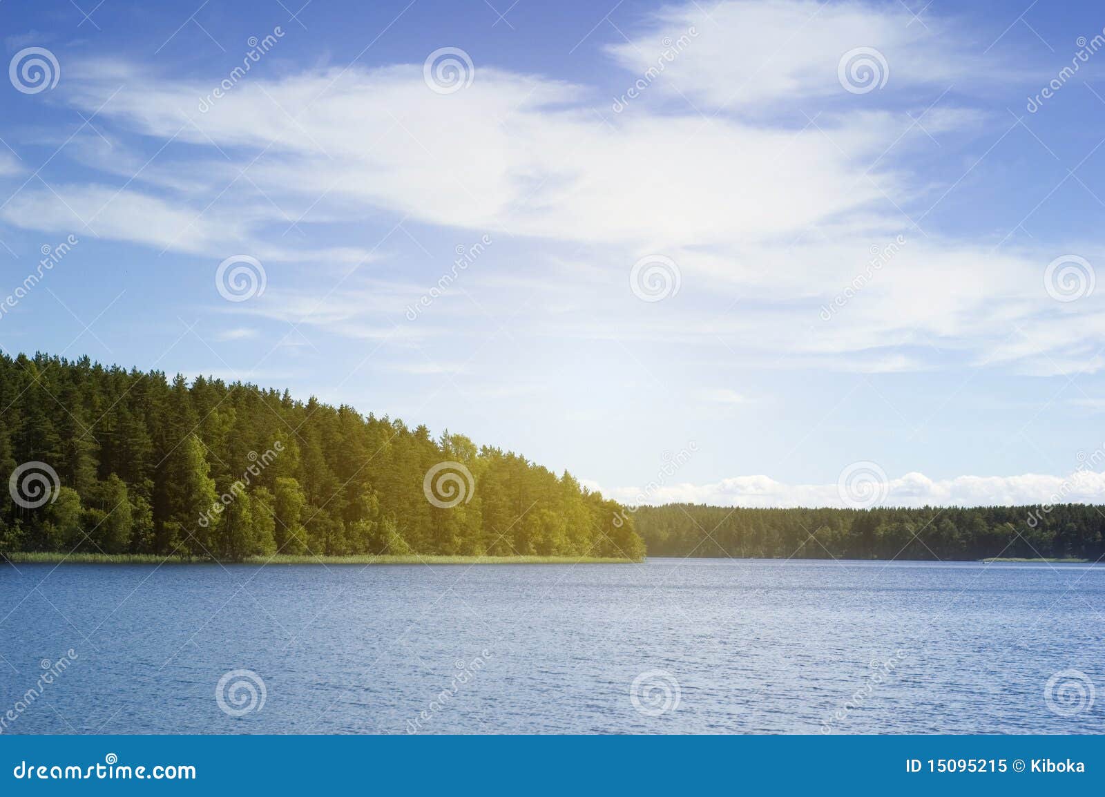 Bos en meer stock afbeelding. Image of nave, meer, zomer - 15095215