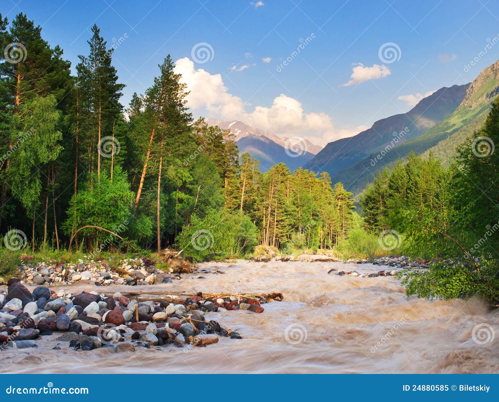 Bos en rivier stock afbeelding. Image of landschap, daling - 24880585