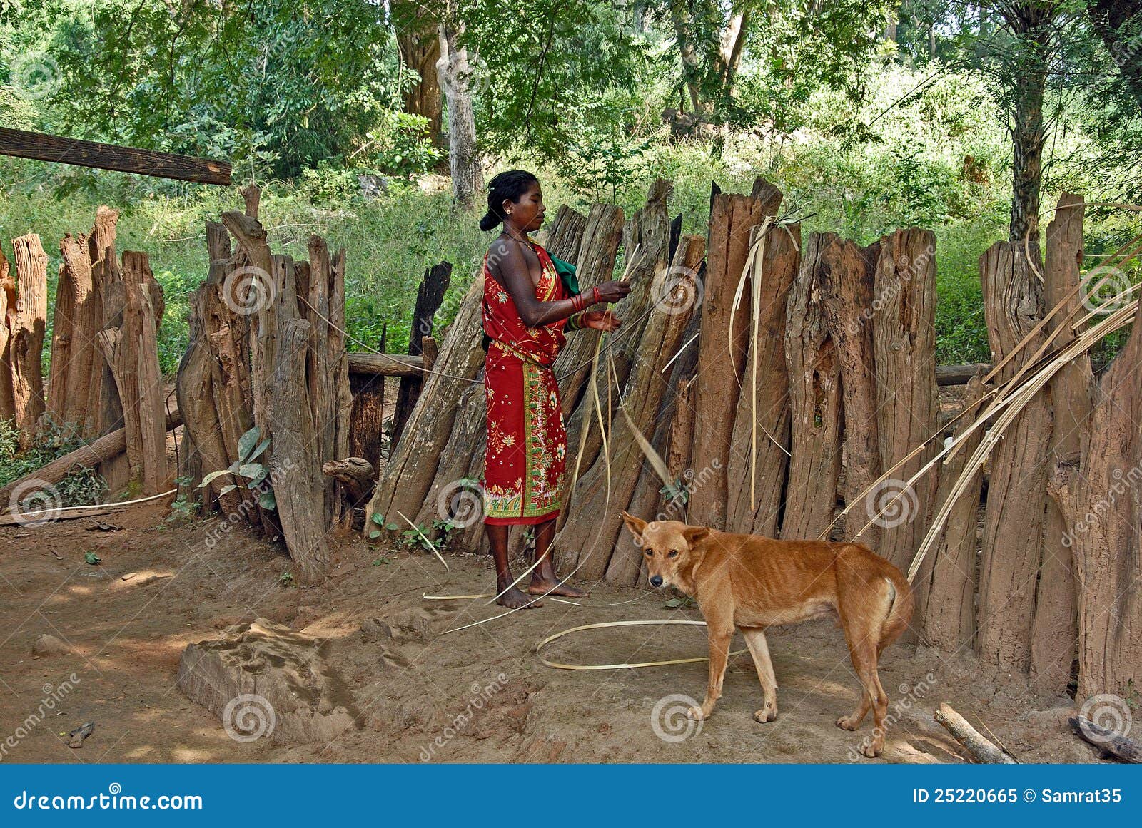 Bos Inwoners van India redactionele afbeelding. Image of dagelijks ...