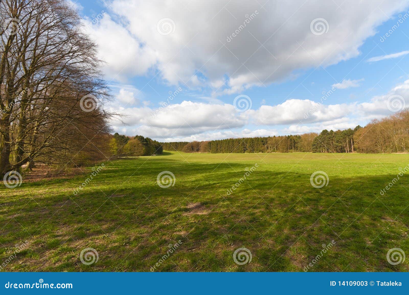 Bos landschap stock afbeelding. Image of wolken, gras - 14109003