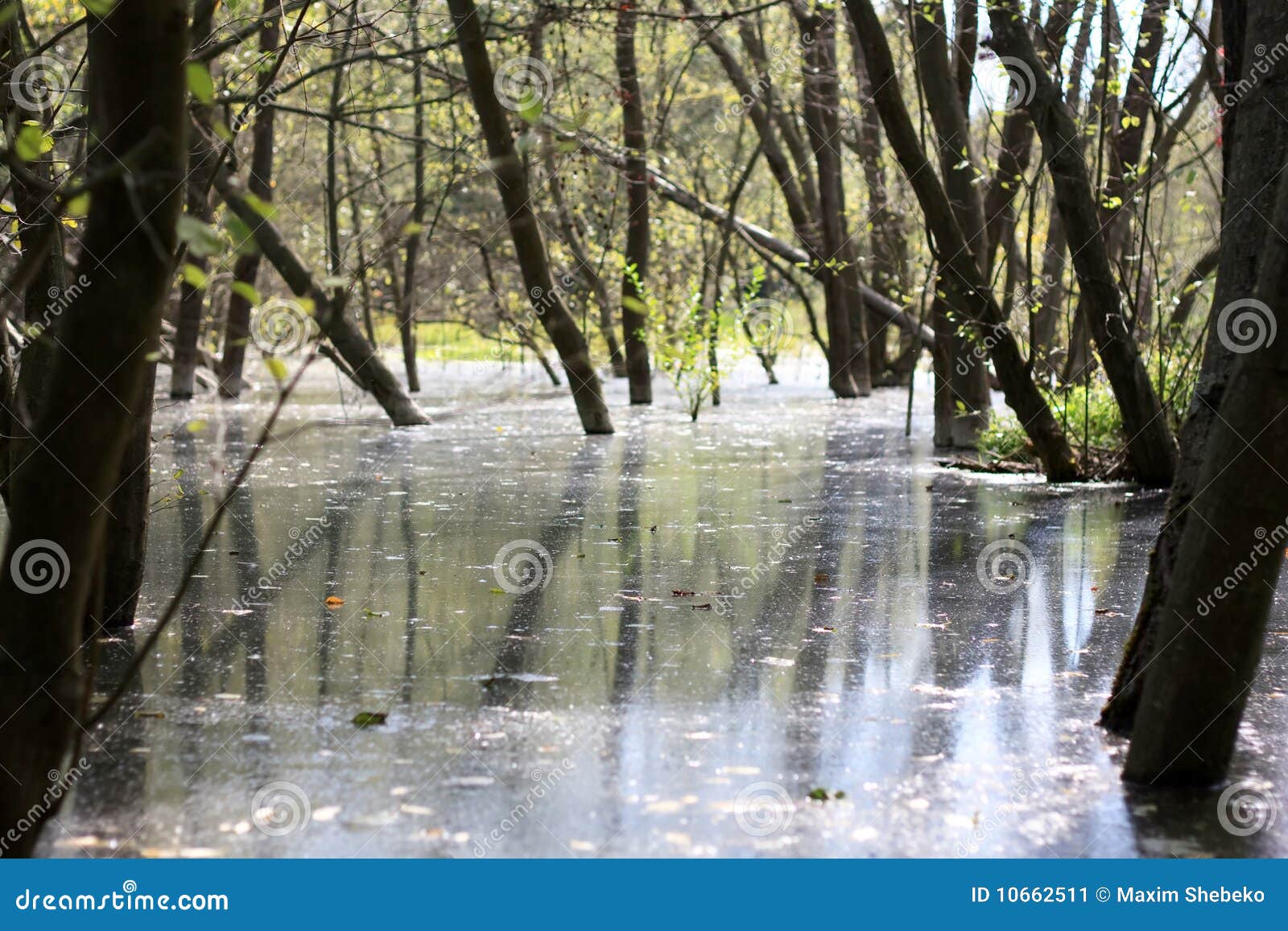 Bos meer stock afbeelding. Image of gegolft, tafereel - 10662511