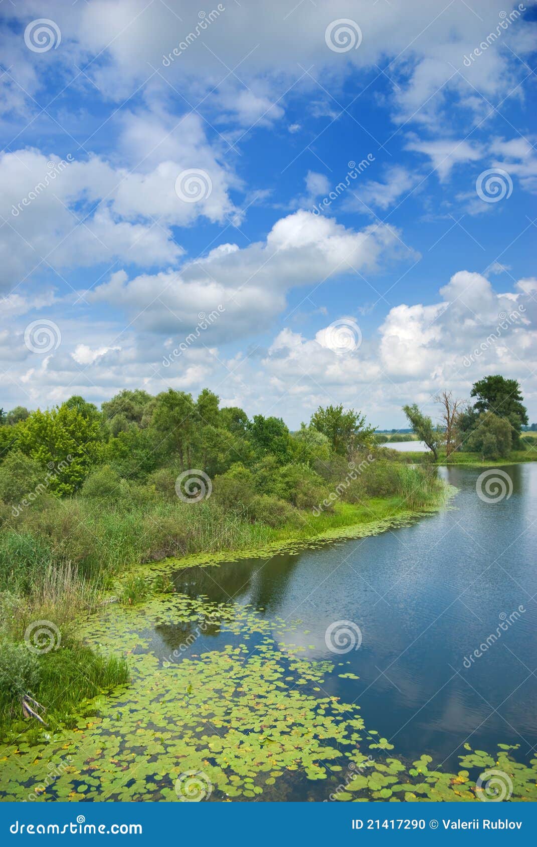 Bos meer stock foto. Image of ontruim, rust, eenzaamheid - 21417290