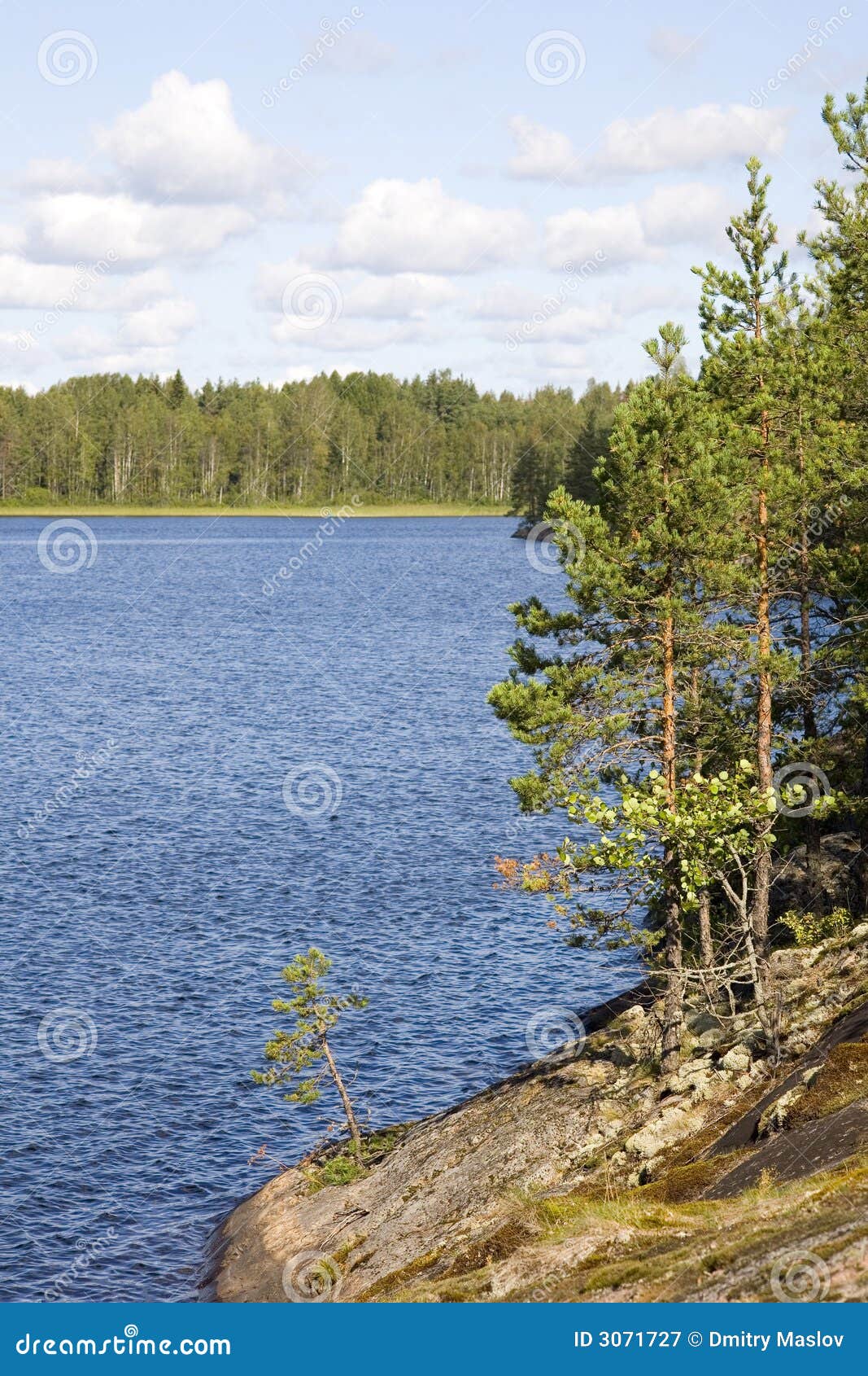 Bos meer stock afbeelding. Image of zomer, groen, blauw - 3071727