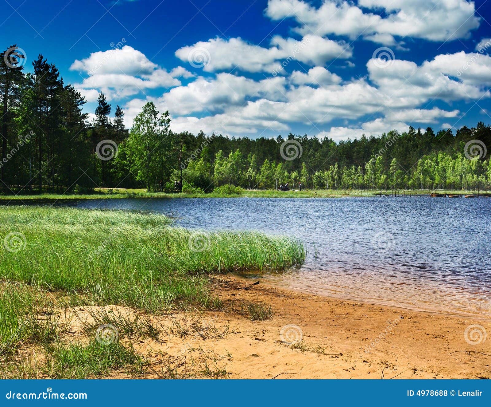 Bos meer stock foto. Image of wolk, zomer, zand, hout - 4978688