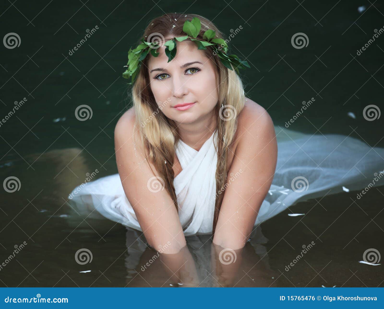 Bos nimf stock foto. Image of concepten, nanometer, groen - 15765476