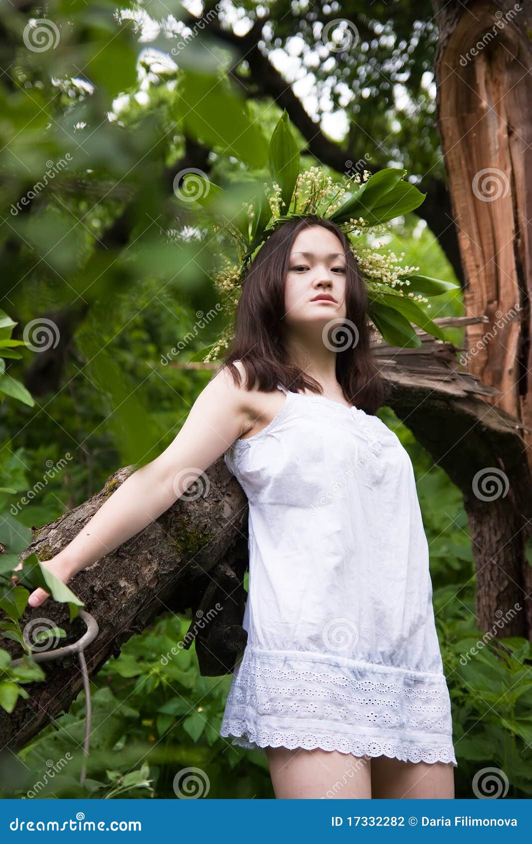 Bos nimf stock foto. Image of aantrekkingskracht, mooi - 17332282