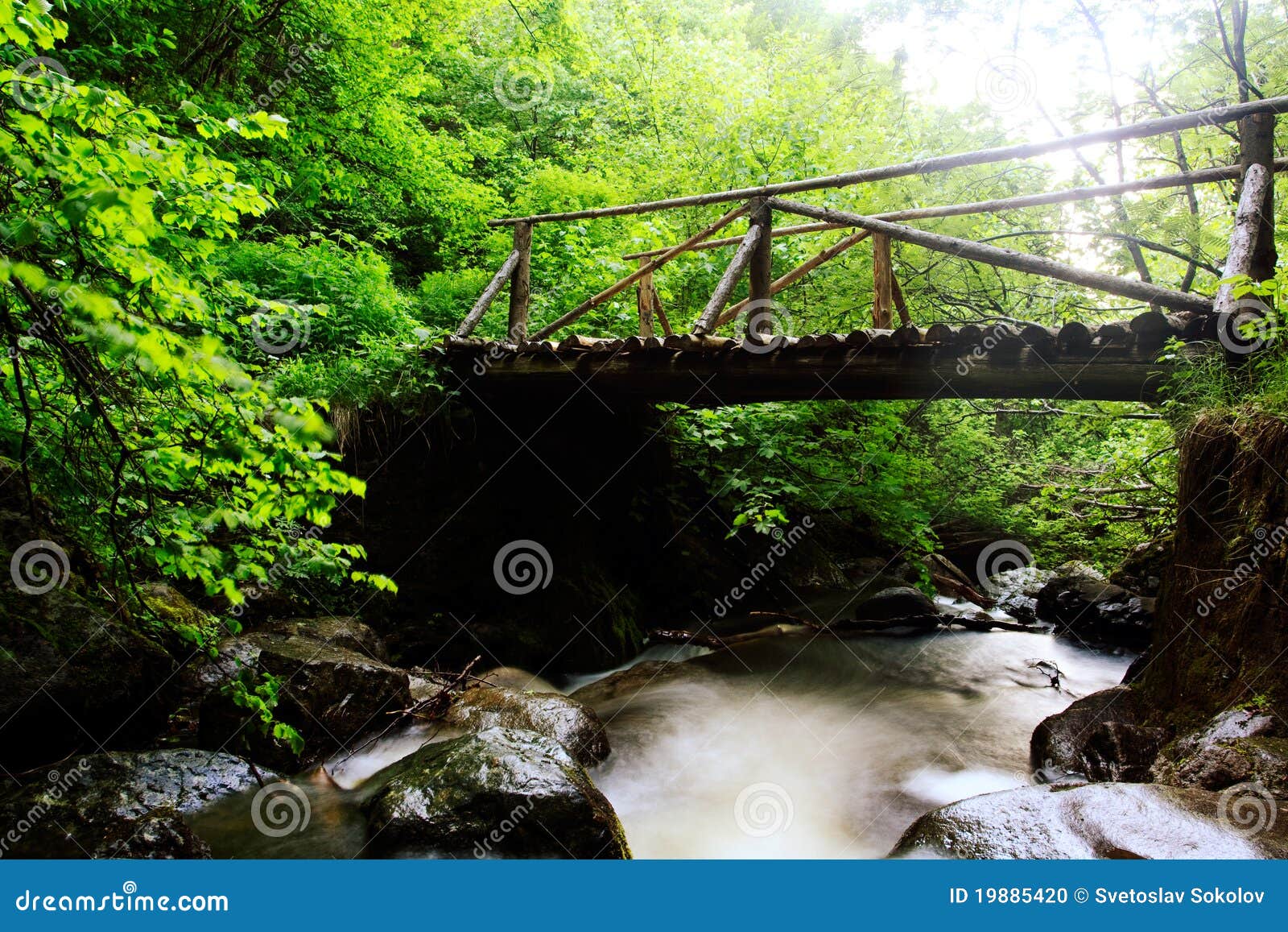 Bos rivier stock foto. Image of zomer, panorama, ontspan - 19885420